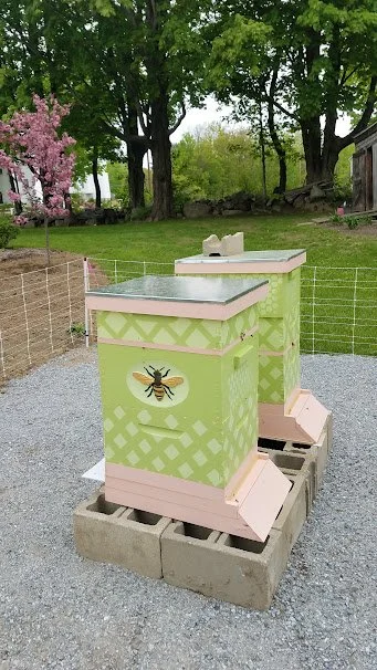 Beeline's tips for supporting spring pollinators in New Hampshire ...