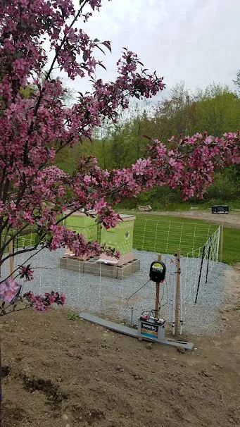 Beeline's tips for supporting spring pollinators in New Hampshire — Visit Concord New Hampshire