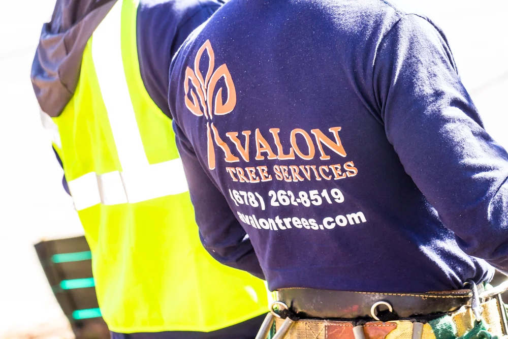 Avalon Tree Service