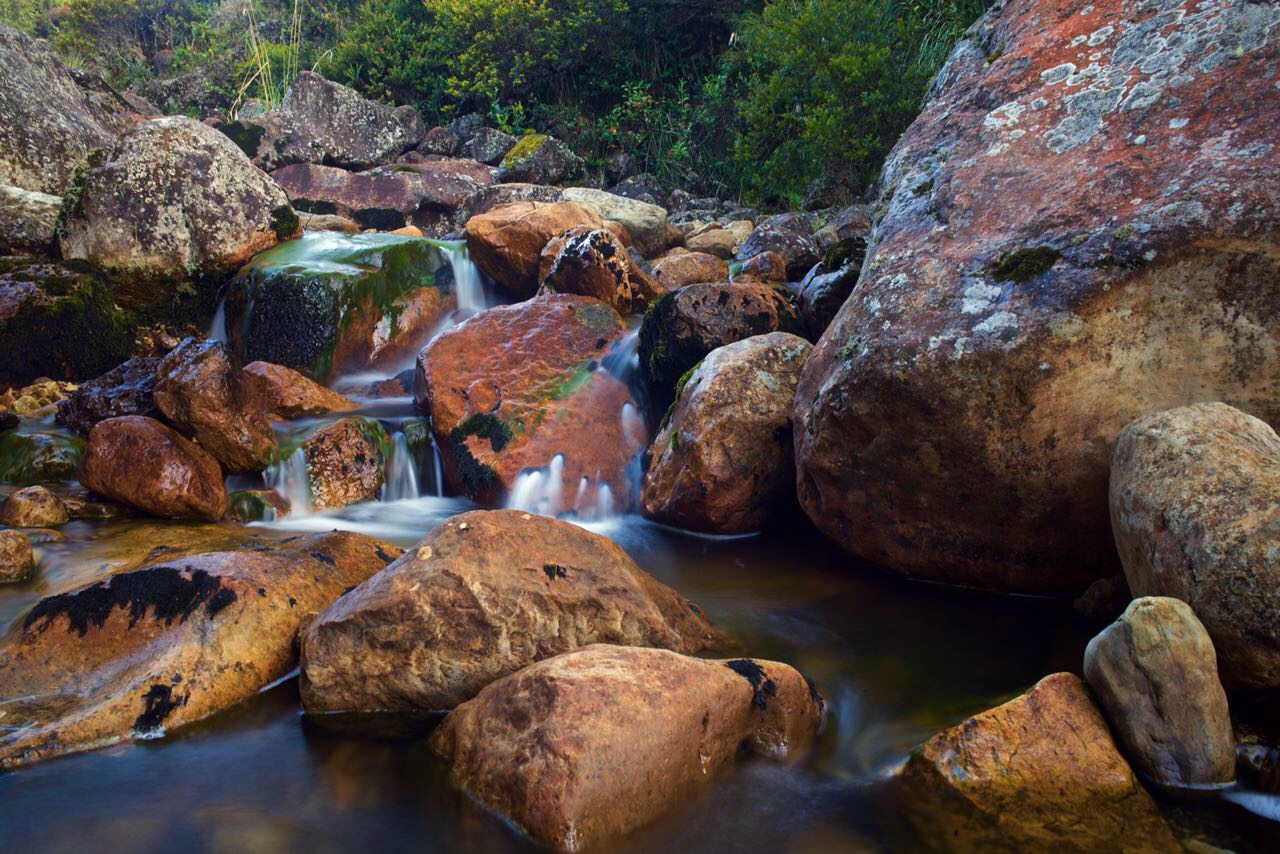 Senderismo Bogotá | Agende su visita | Reserva el Zoque