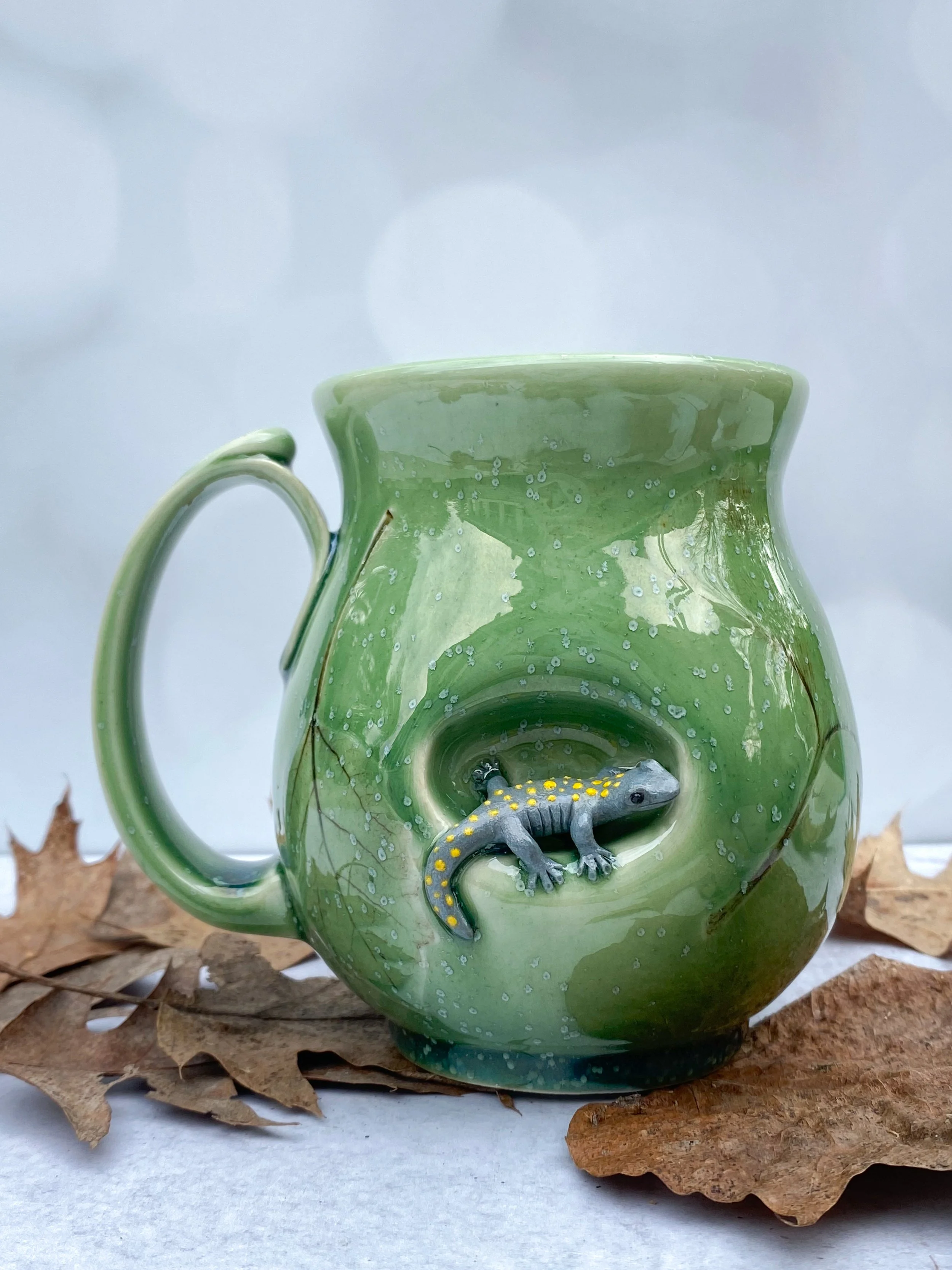 Shop — AP Curiosities