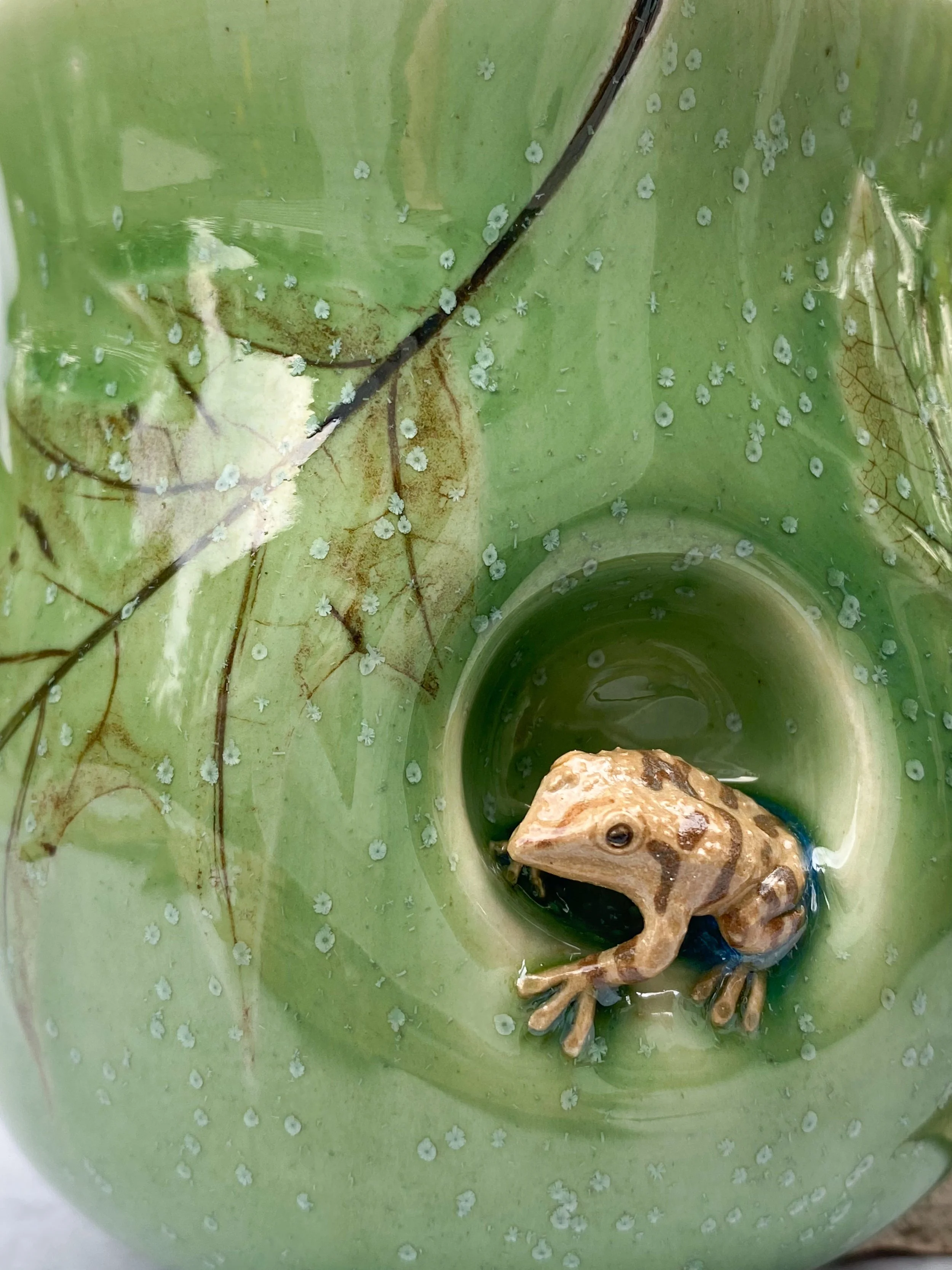 Shop — AP Curiosities