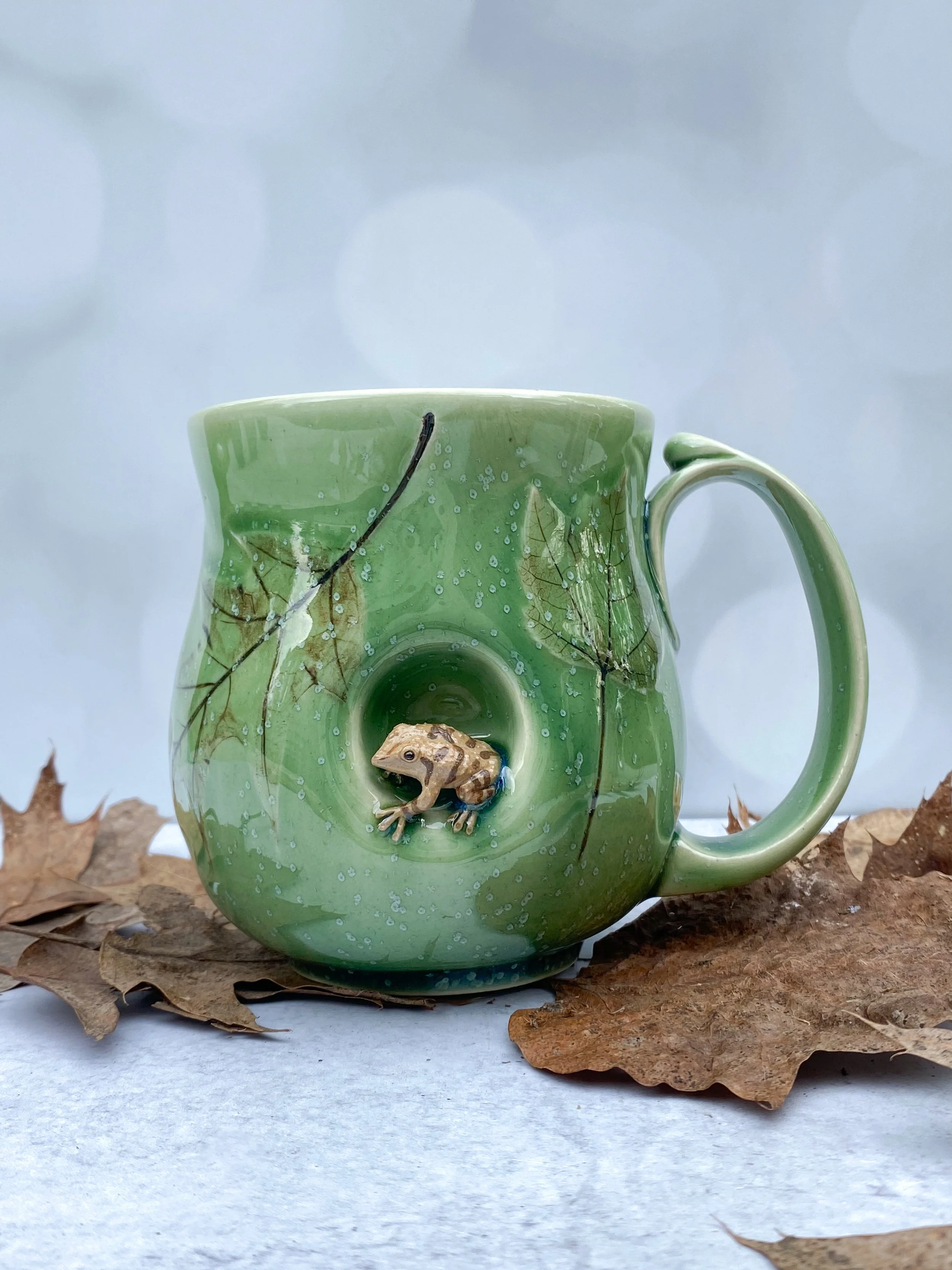 Shop — AP Curiosities