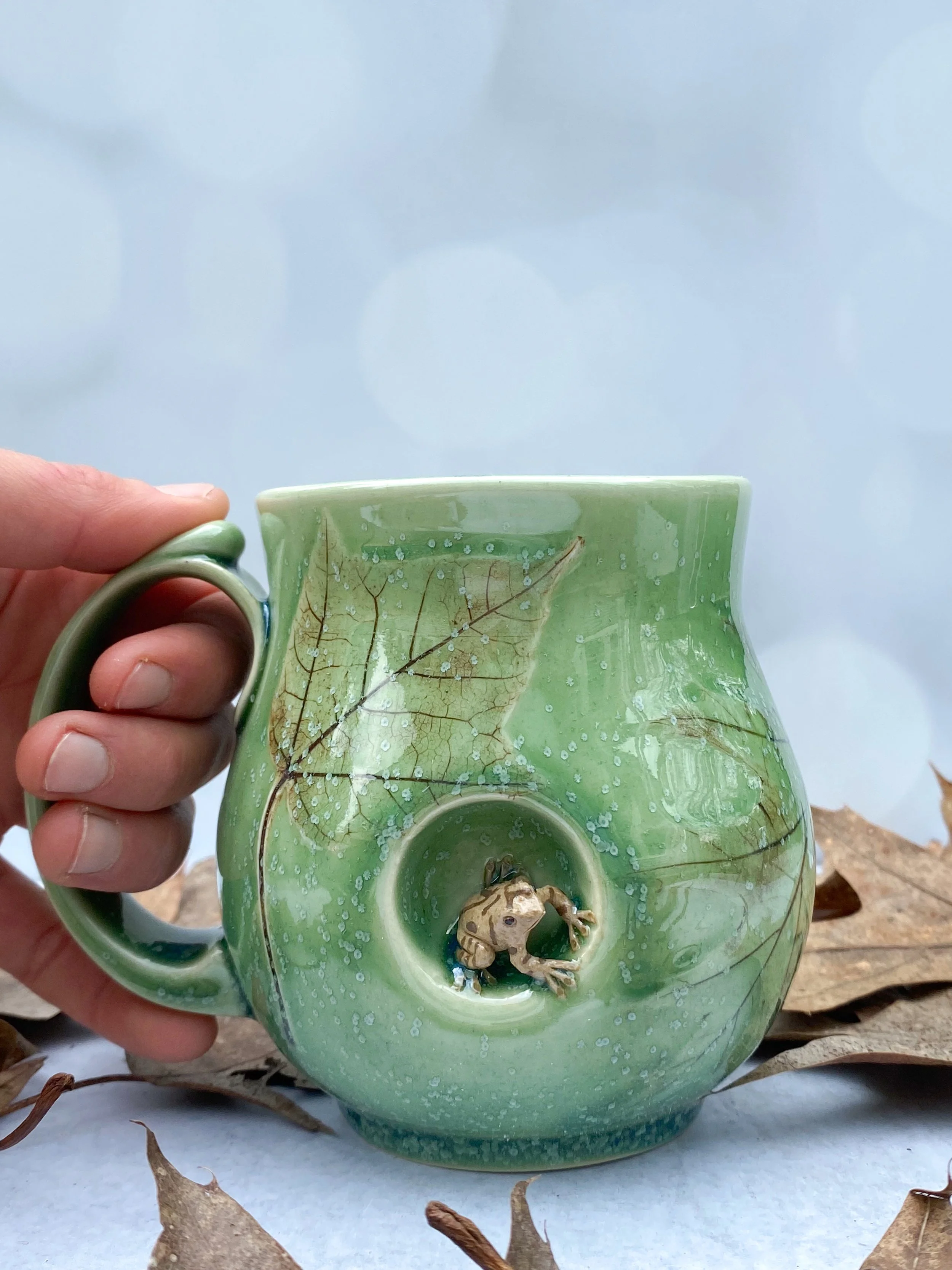 Shop — AP Curiosities