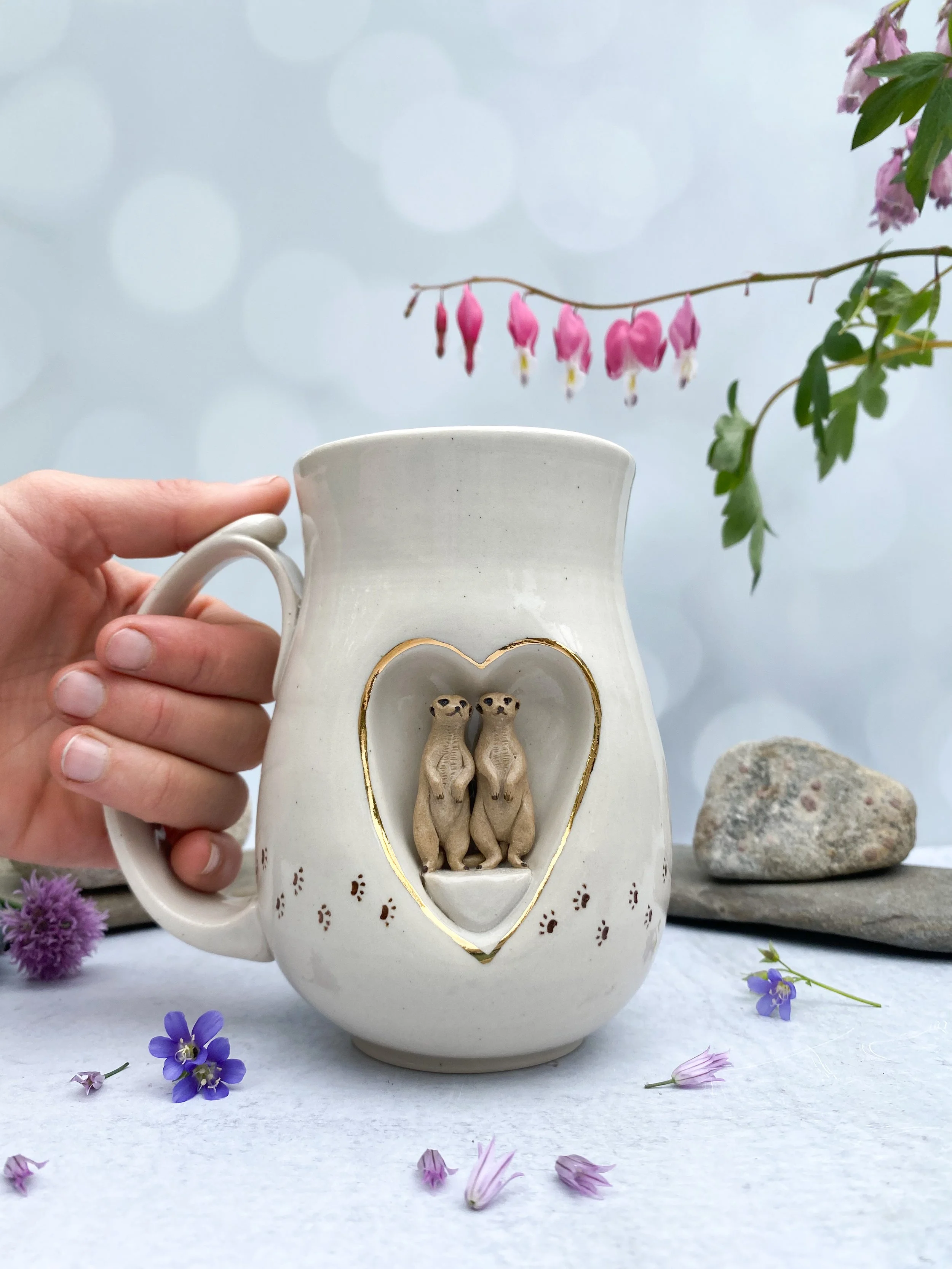 Shop — AP Curiosities