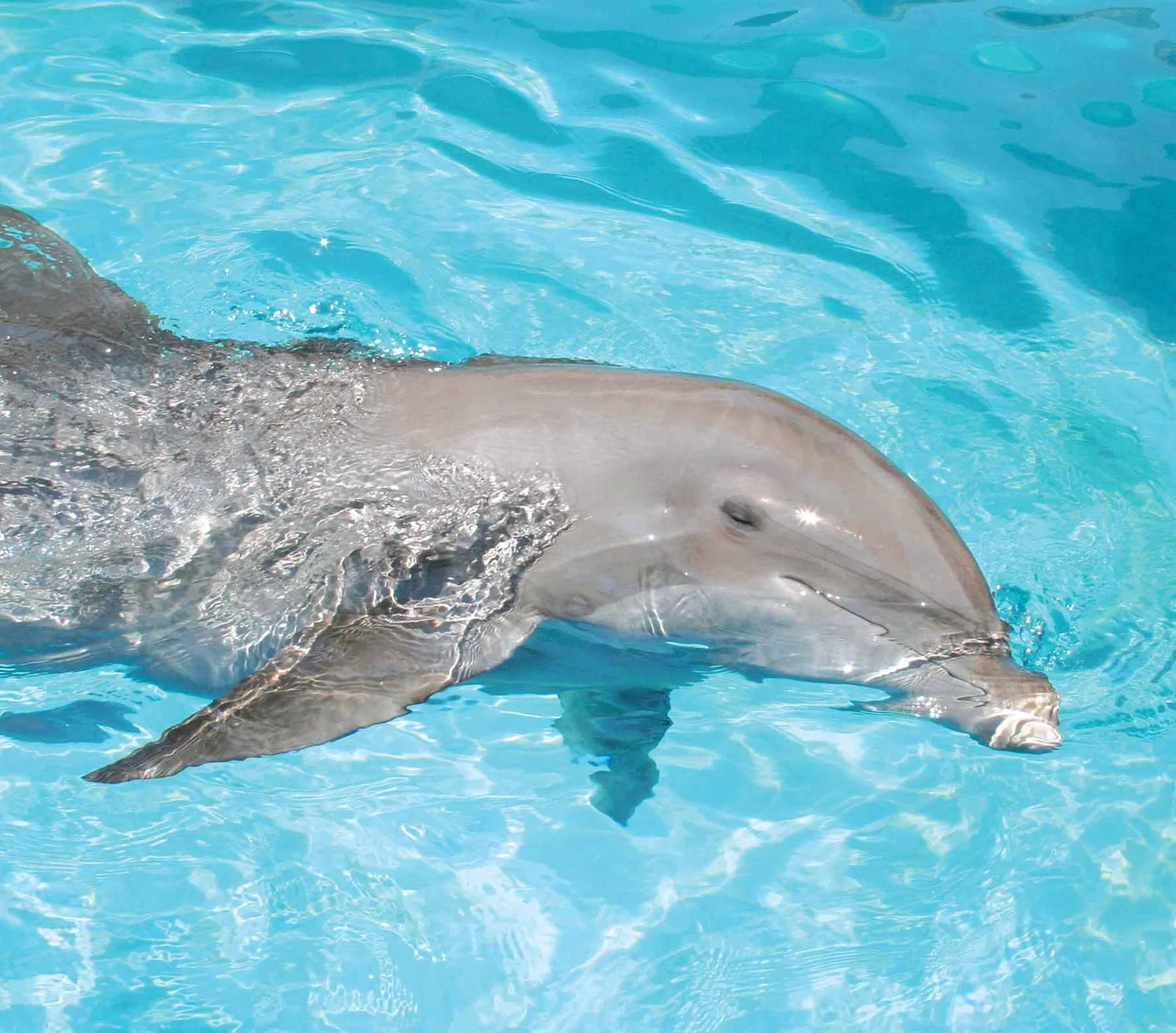 HUMILITY — Square Books In The Light