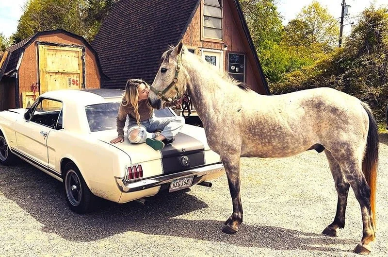 Sydney Lett’s 1966 Ford Mustang Coupe — StangBangers