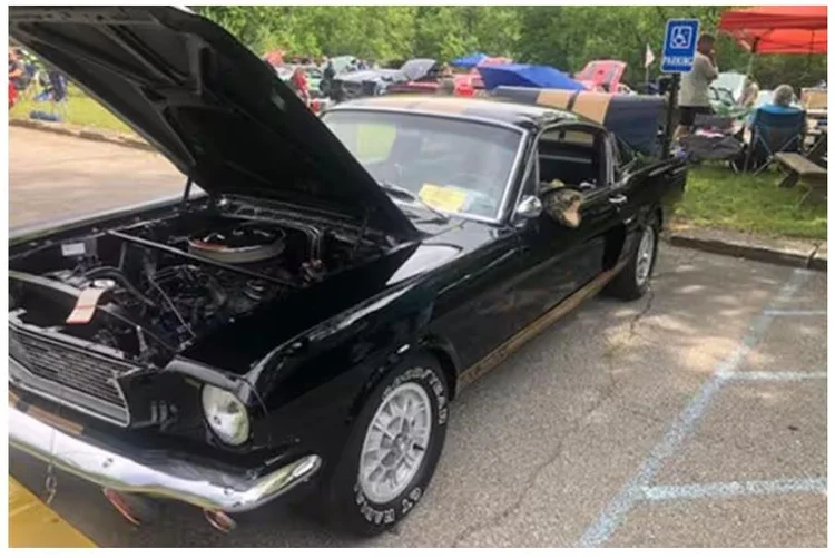 Jerry Sullivan’s Ford Mustangs — StangBangers