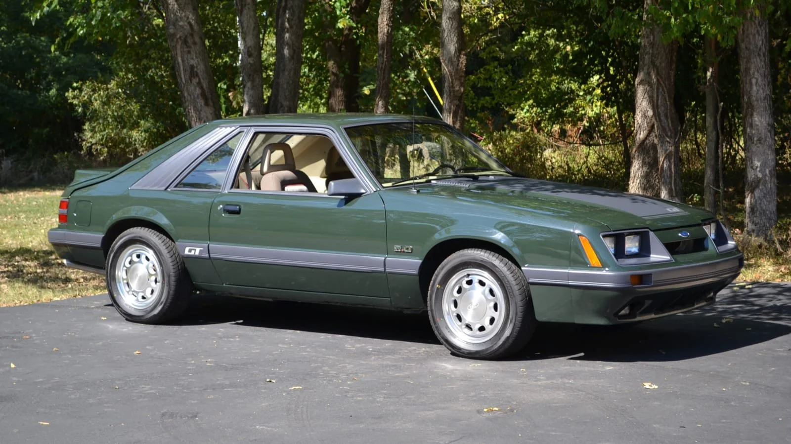 For Sale: 1986 Ford Mustang GT Hatchback (Dark Sage, 5.0L V8, 5-speed ...