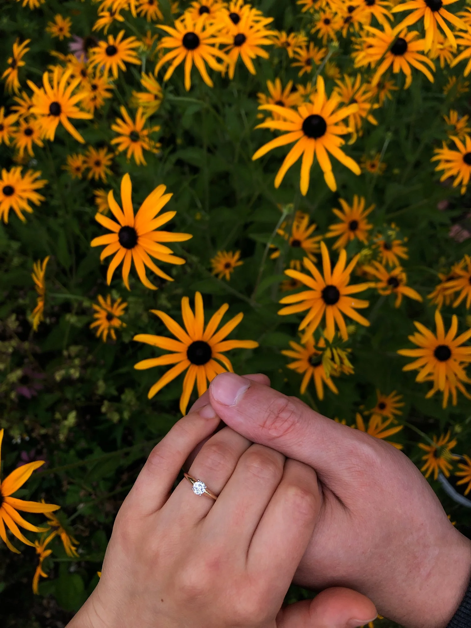 My Life is Changing — CALICO AND TWINE