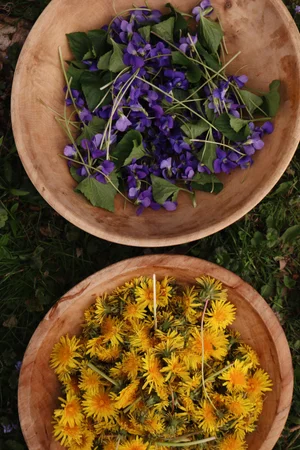 Spring Advances Into Summer: A Homesteader's Diary — CALICO AND TWINE