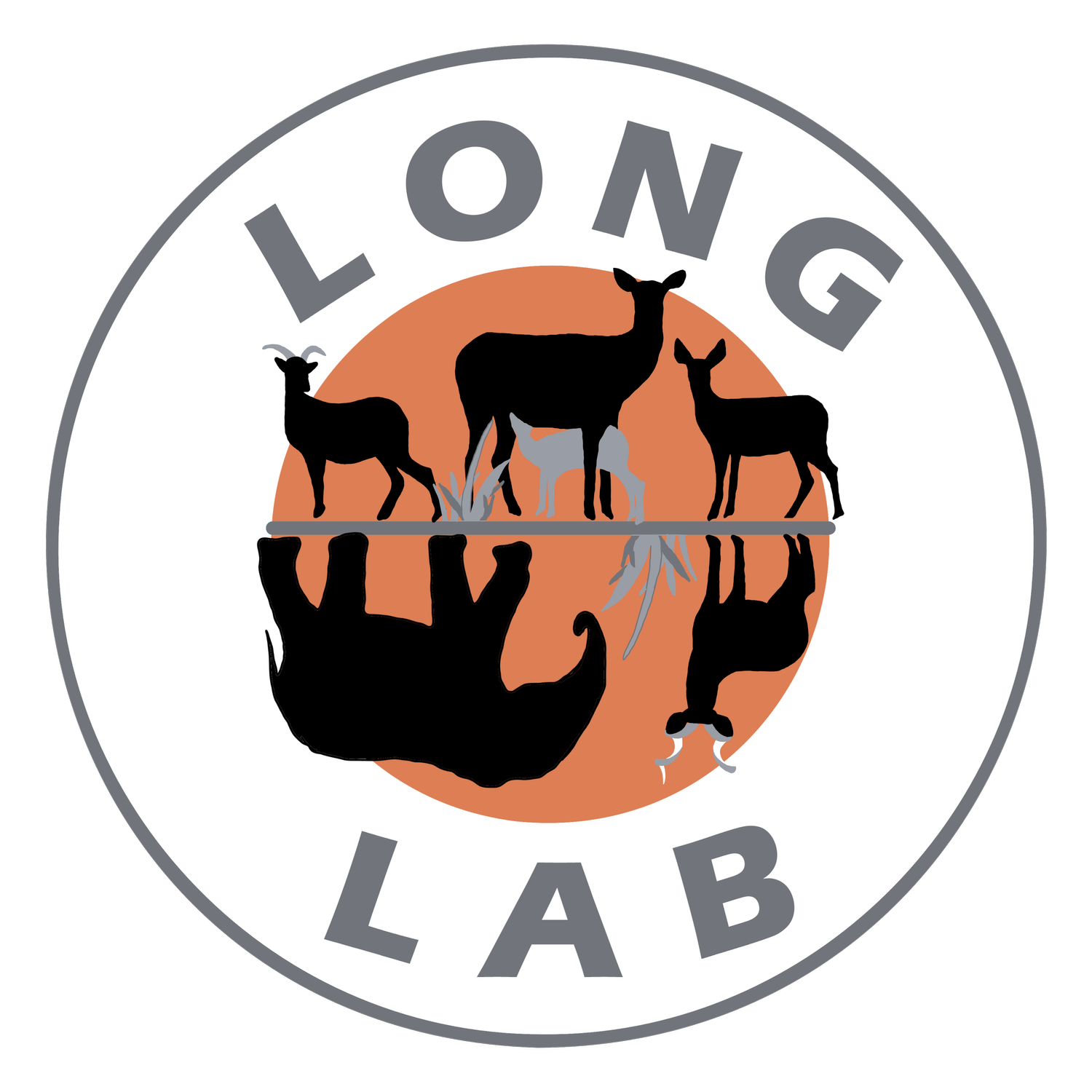 Lab News — The Long Lab