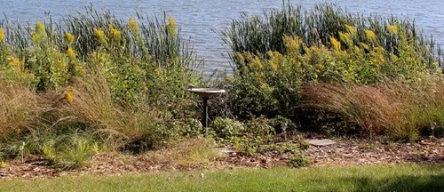 Lakeshore Resource Guide — Lauderdale Lakes Improvement Association