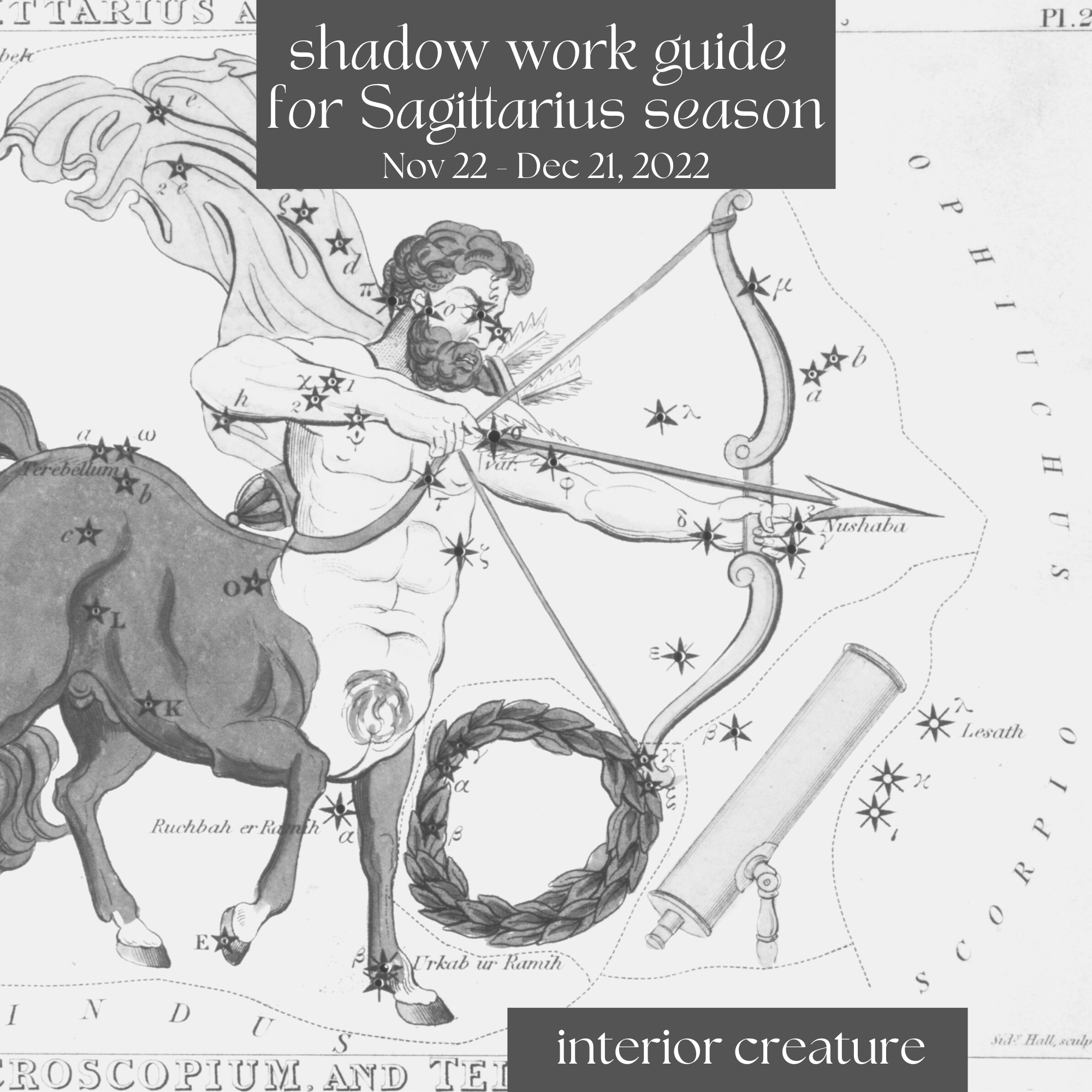 Human Design Shadow Work Reflective Guides — interior creature