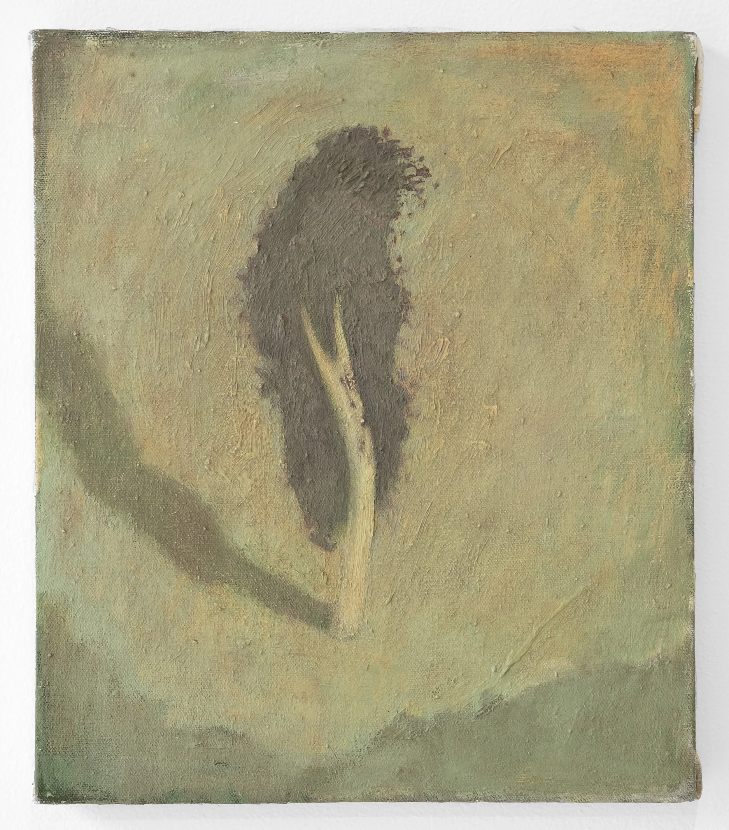 MARTHA SHAW unframed — pt.2: