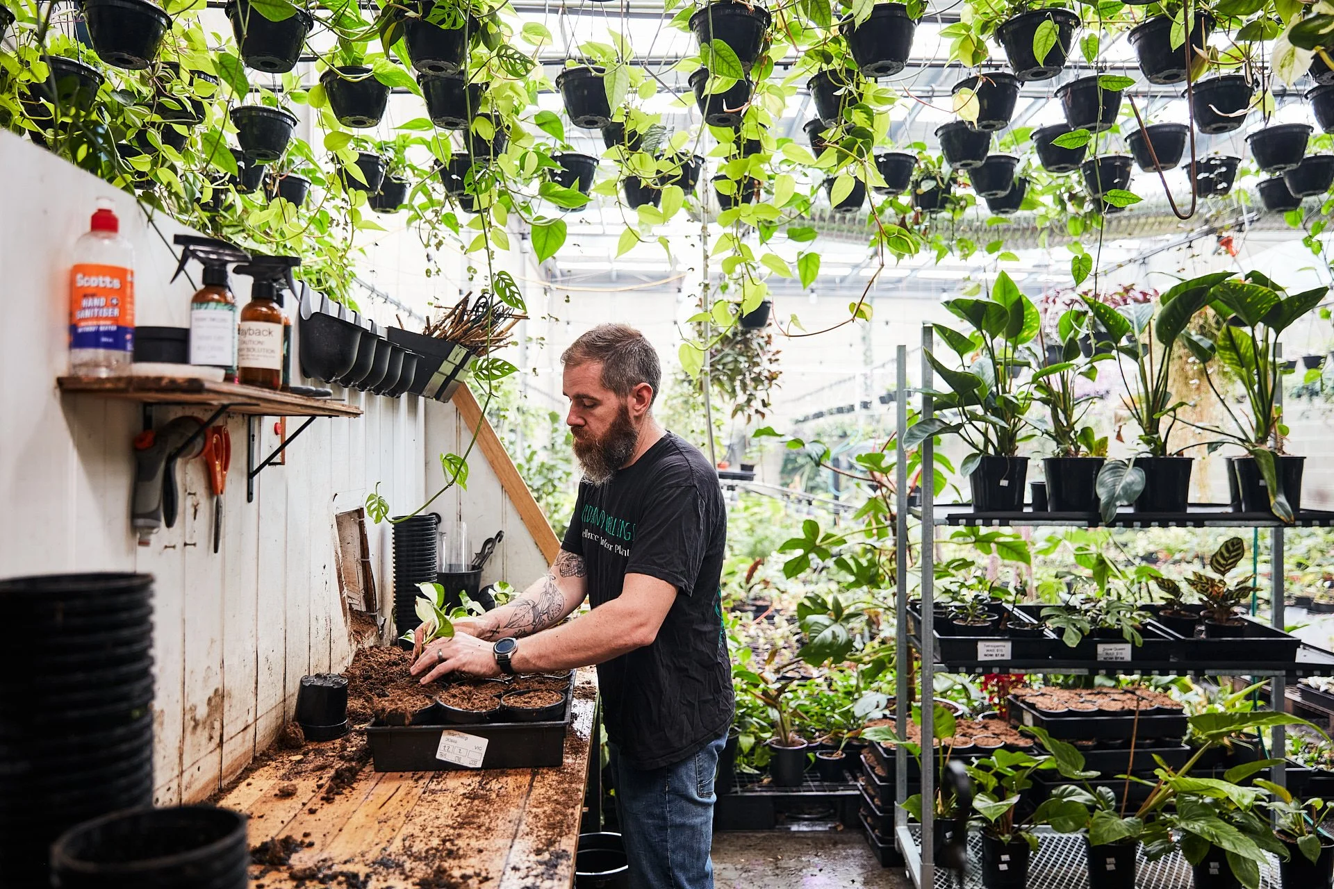 Verdant Dwellings Wholesale — Verdant Dwellings