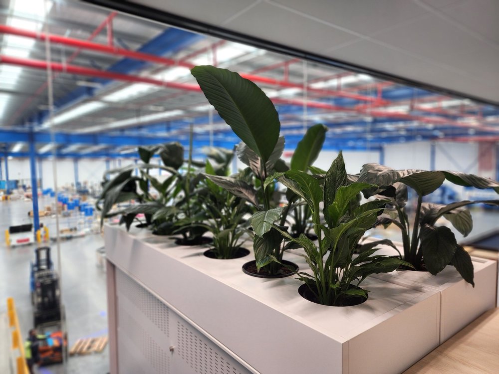 Business Plant Maintenance Service | Enhance Your Indoor Greenery ...