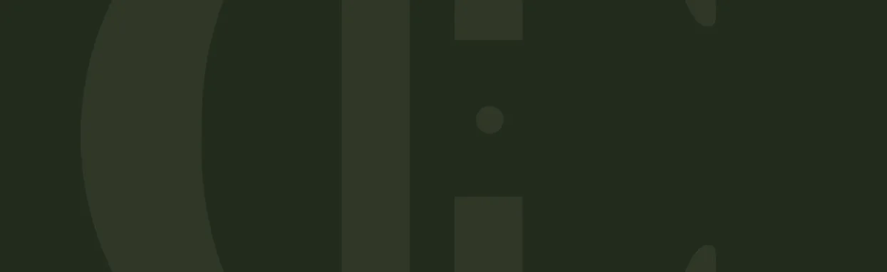 Executive Coaching — The Clever Core