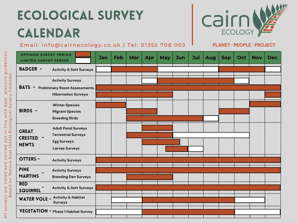 Survey Calendar — Cairn Ecology