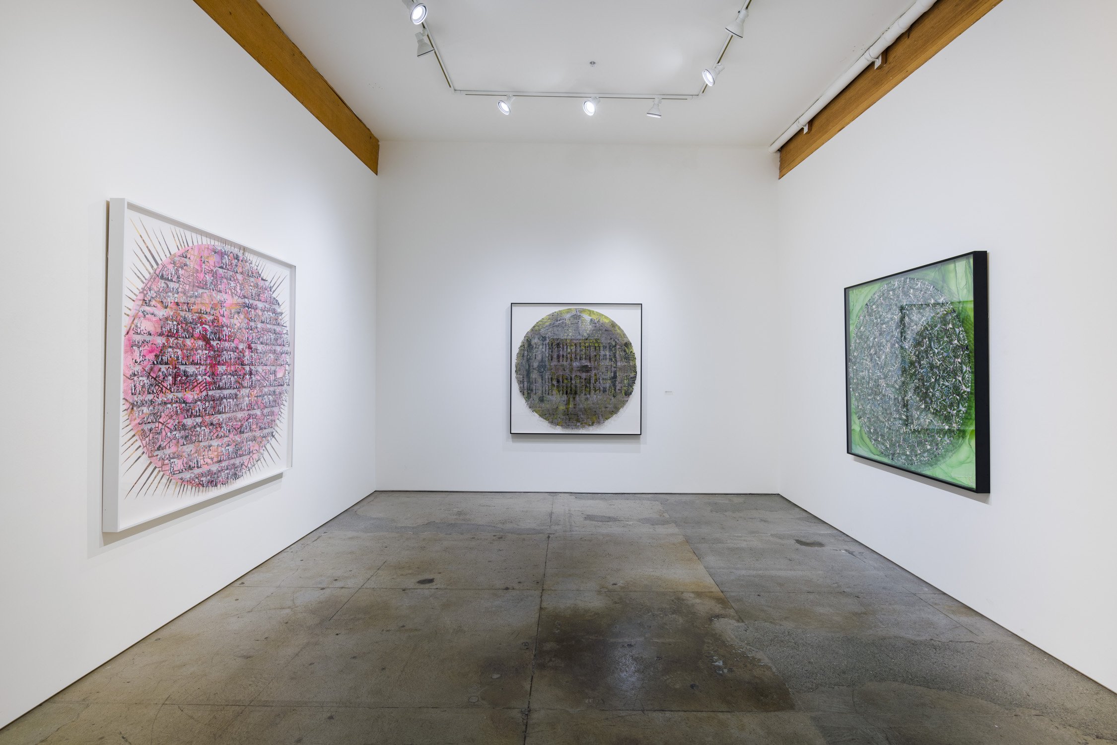 Matthew Davis Gallery