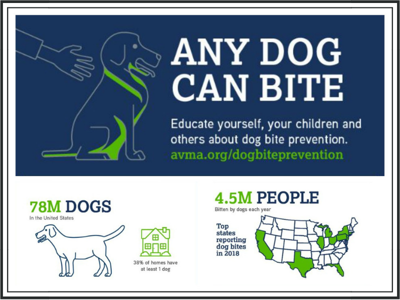 Dog Bite Prevention Poster