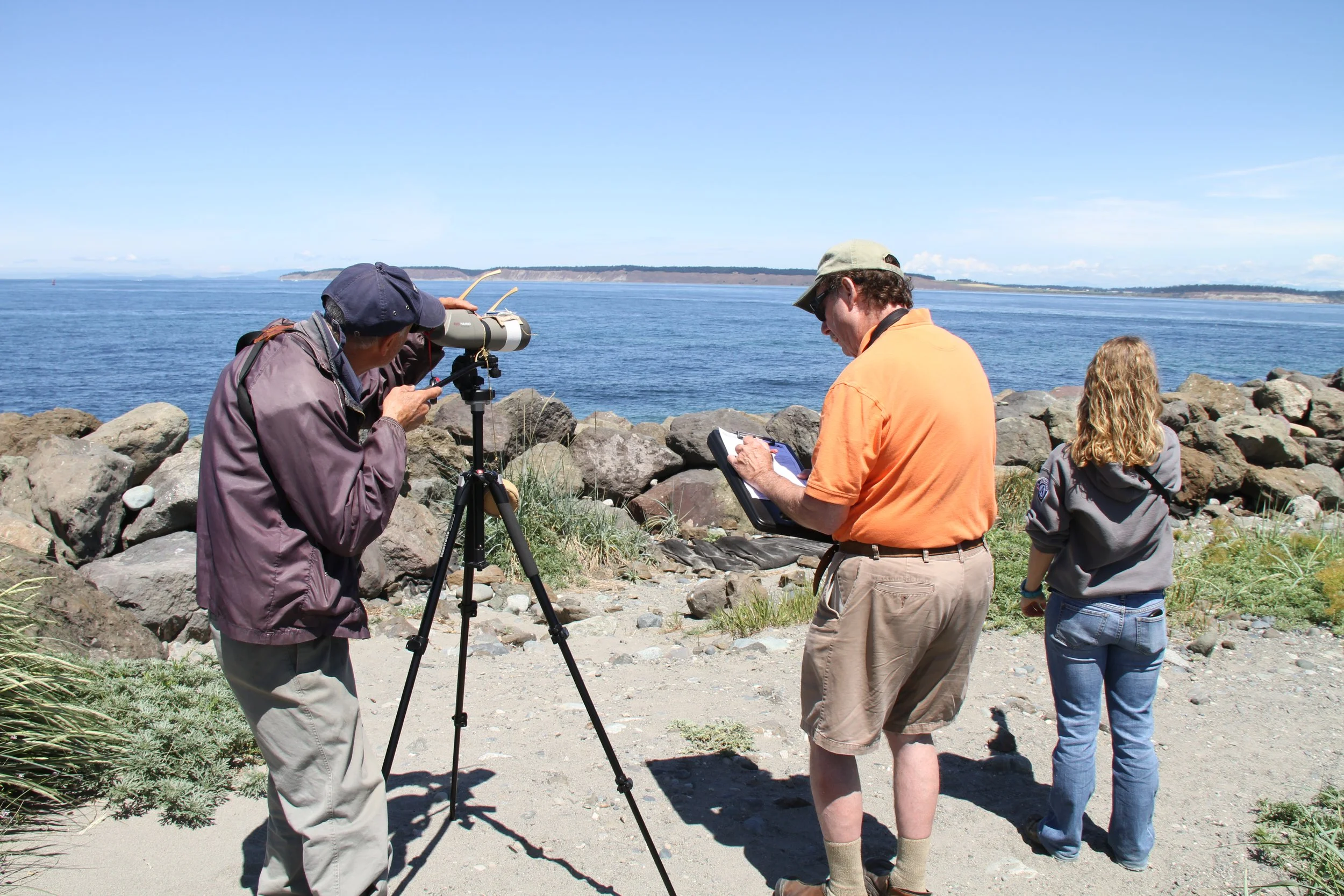 Puget Sound Seabird Survey — Eastside Audubon Society