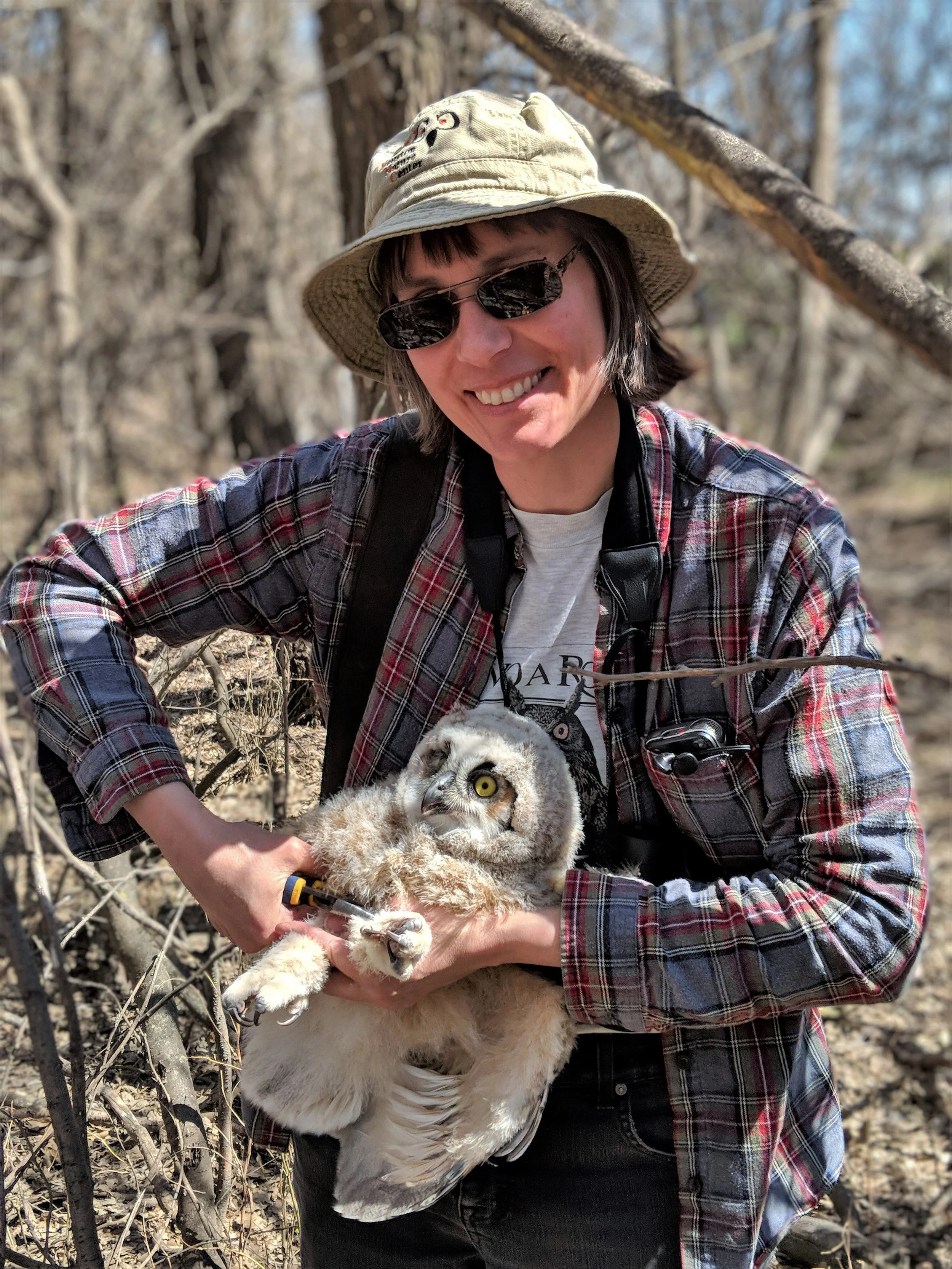 VIRTUAL PROGRAM NIGHT: Real Life Great Horned Owl Soap Opera — Eastside ...