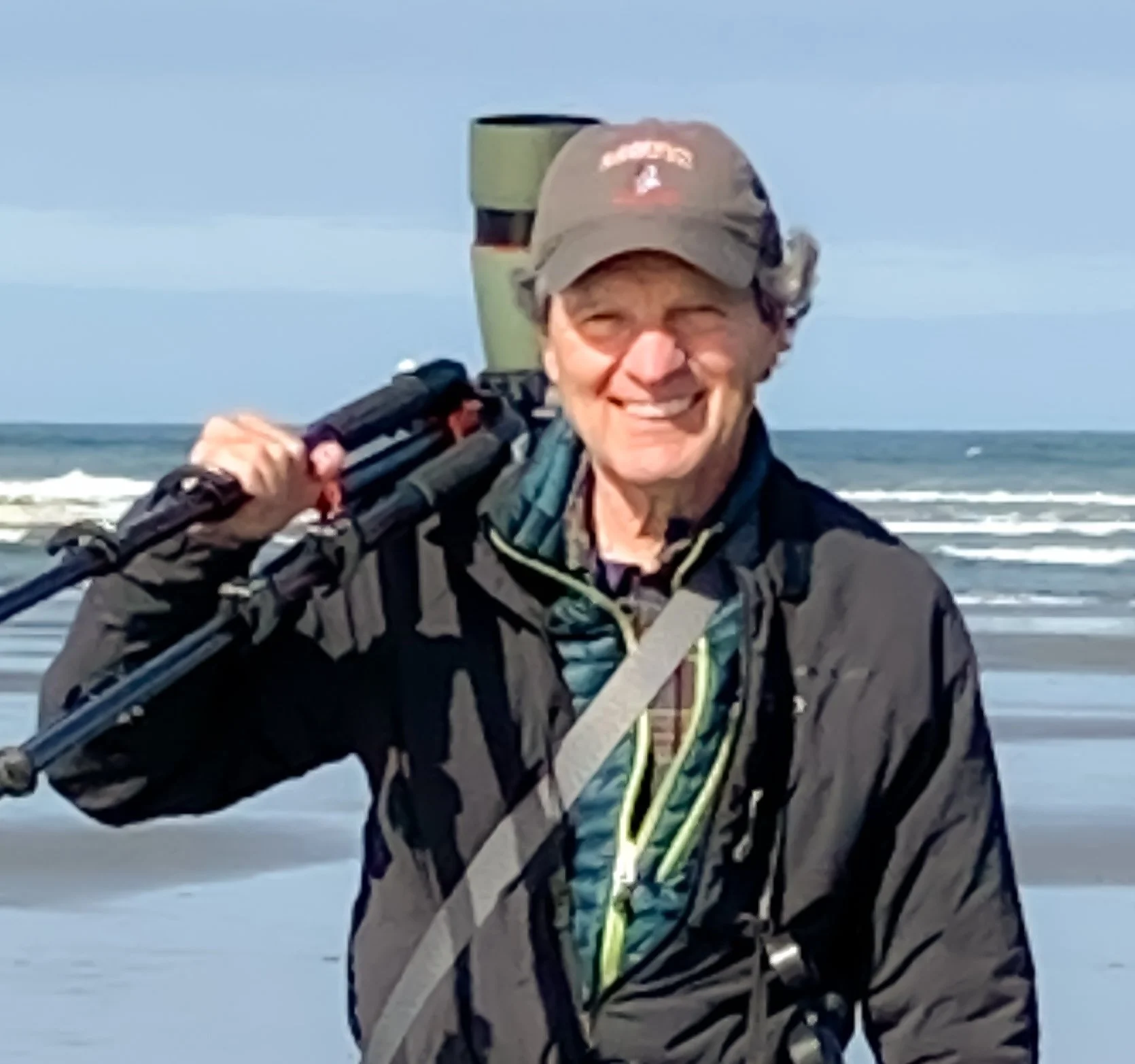 Warbling Vireo Gets an Update — Eastside Audubon Society