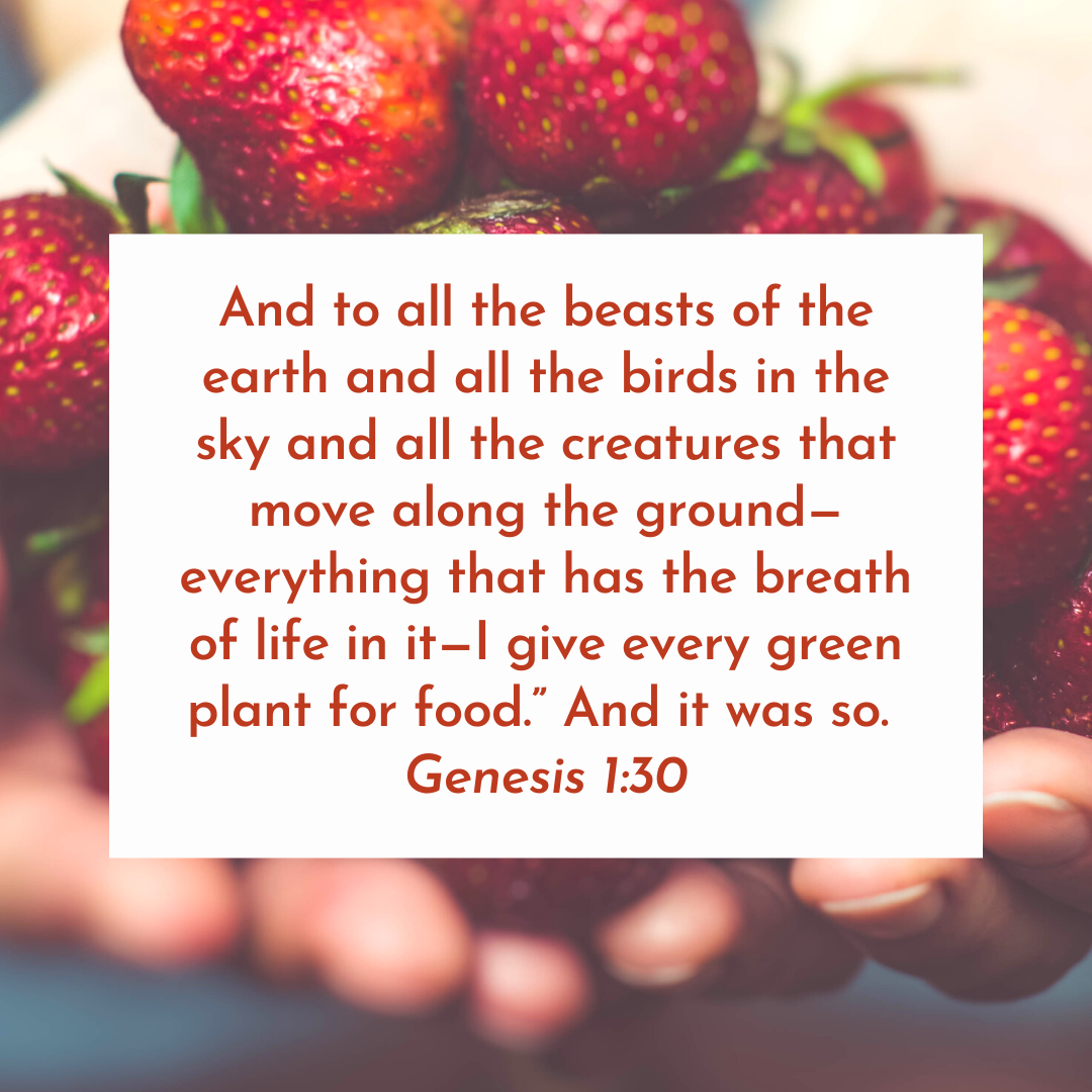 How God Makes Food — The Christian Nutritionist