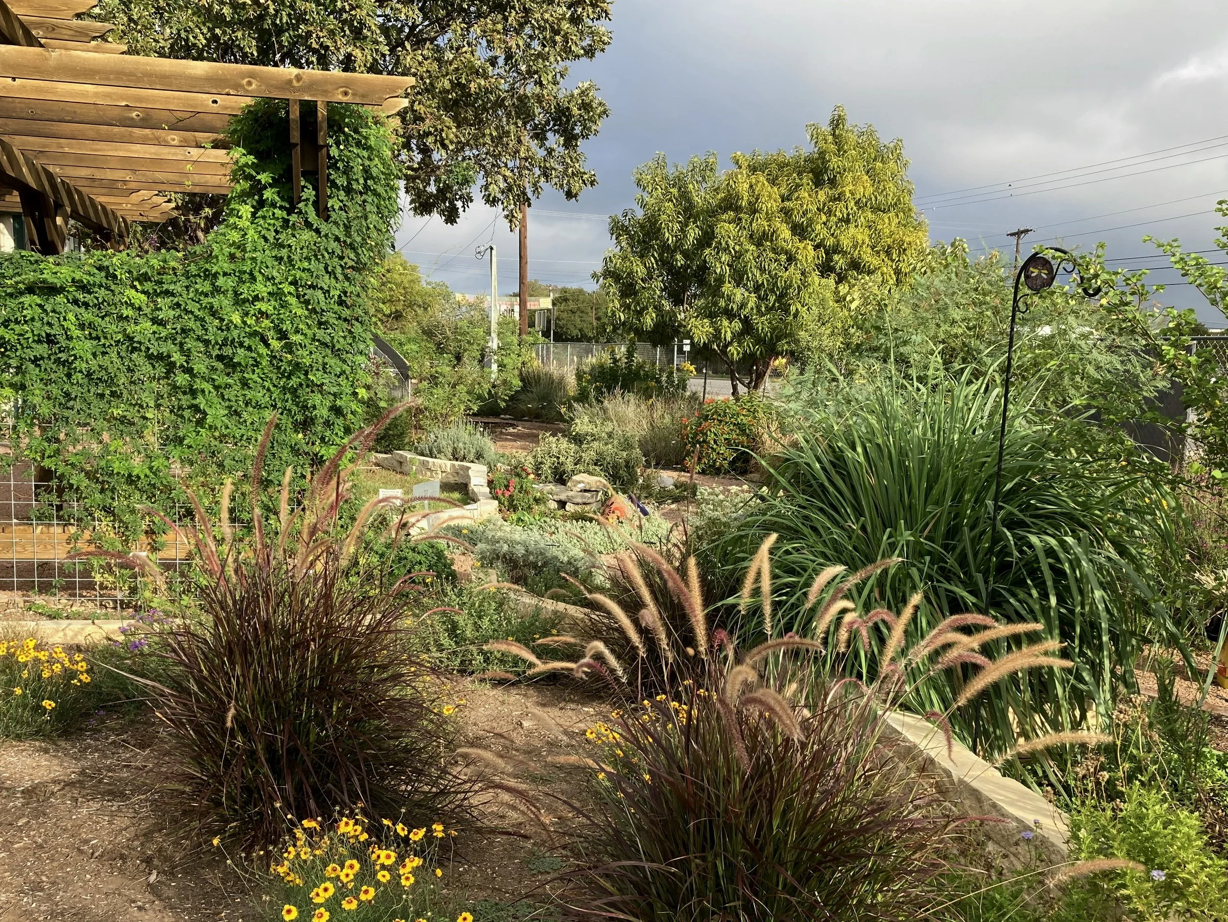 Hill Country Texas Master Gardeners