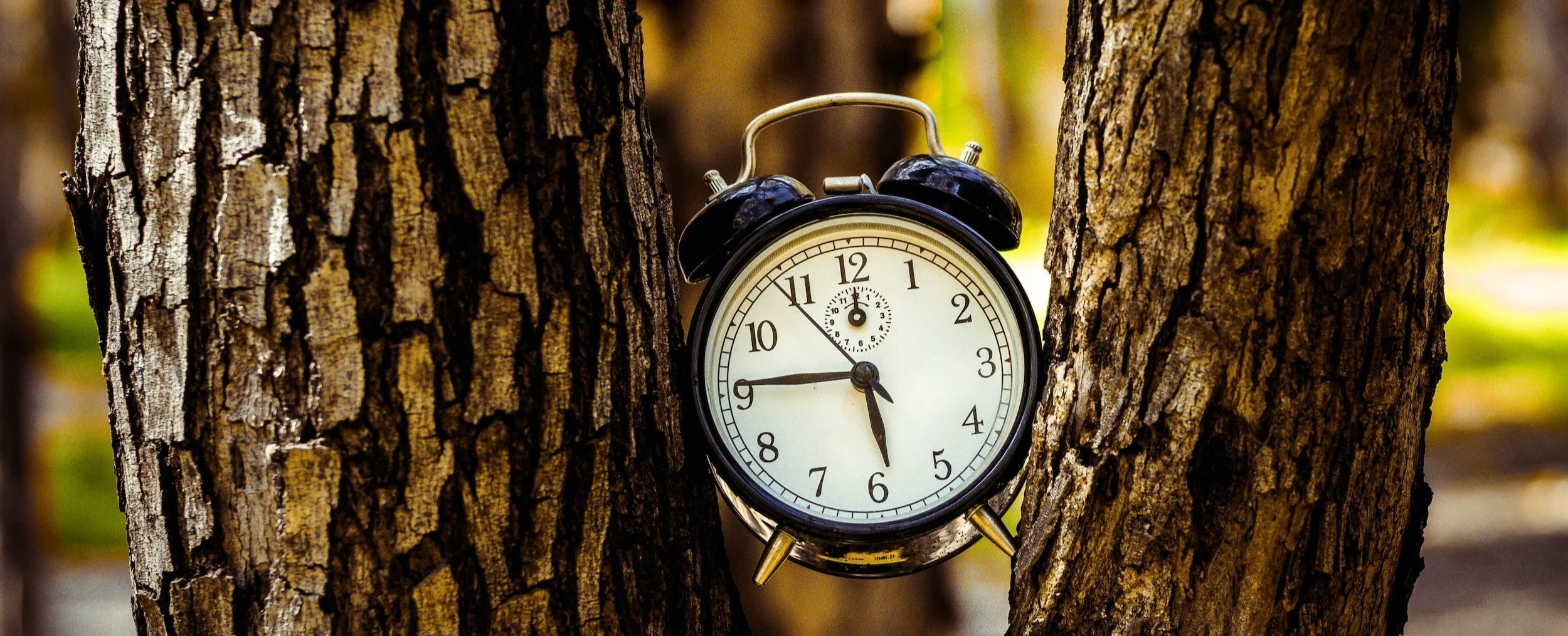 Silent Jane - Silent Photography