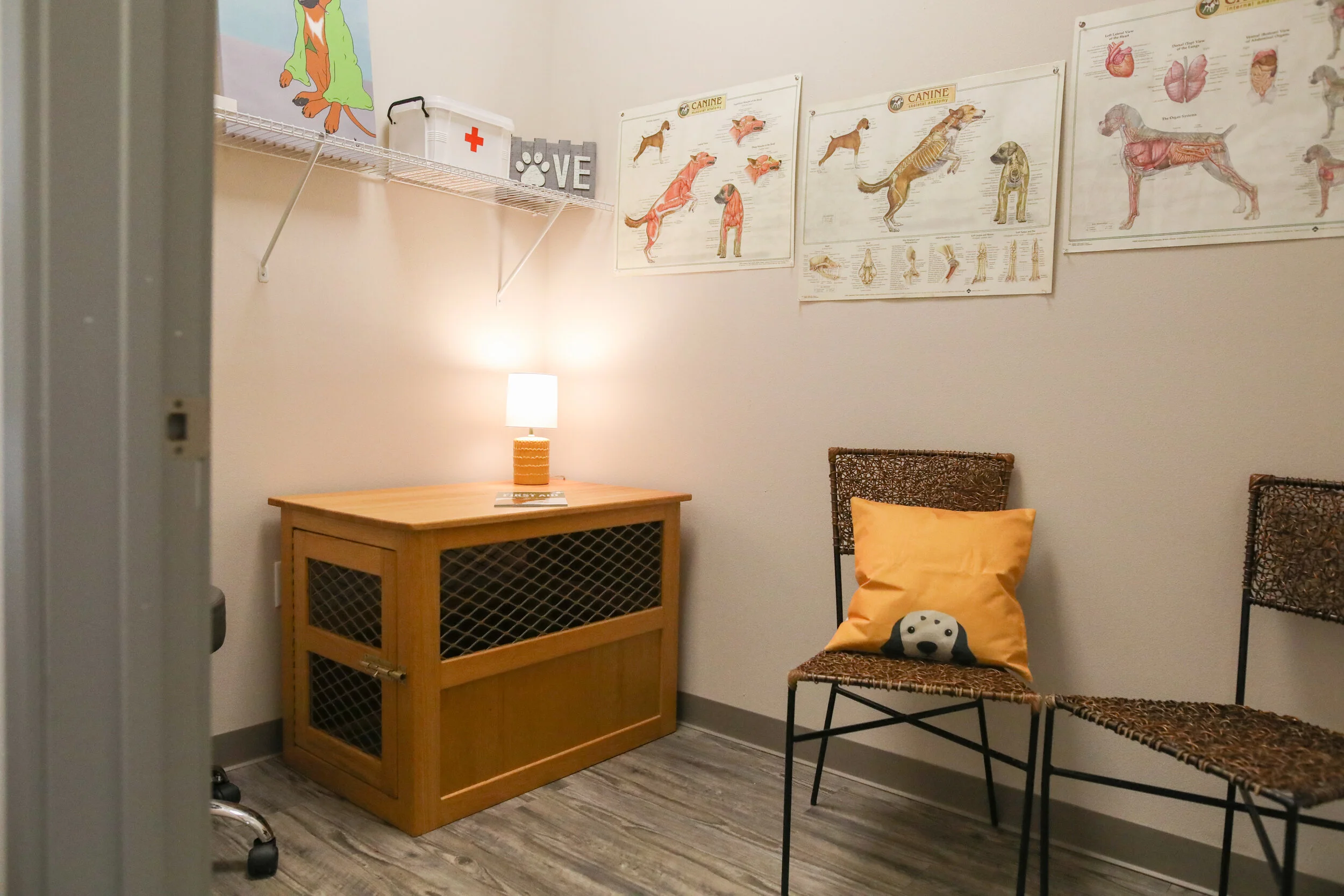 Welcome to Zen Dogs! Come on in for a picture tour... — Zen Dogs Center
