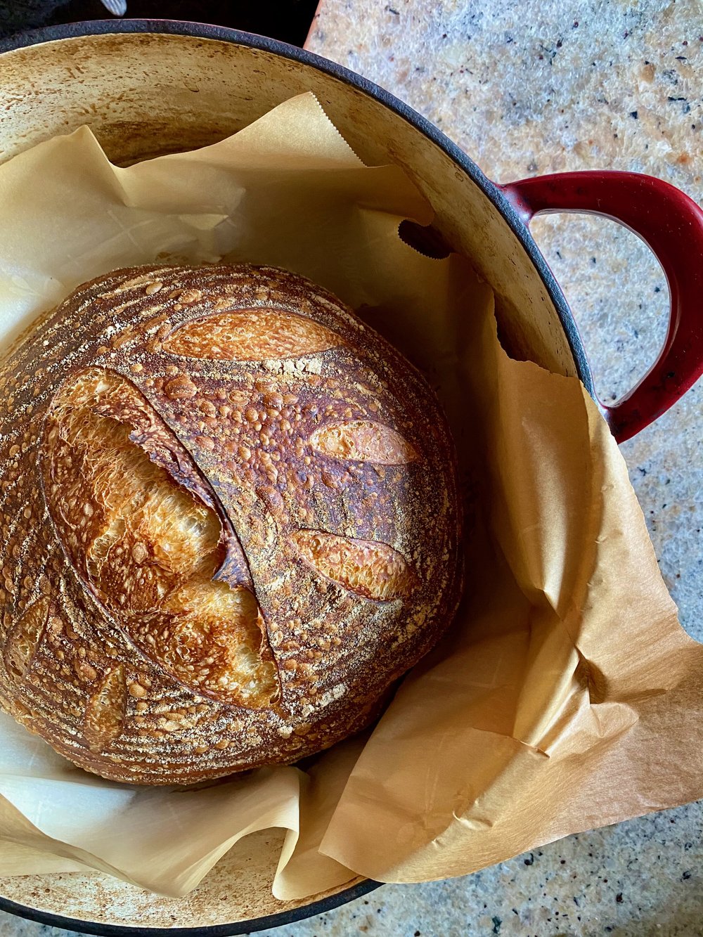Breaking Bread: Sourdough Bread Baking — Raising Tacoma