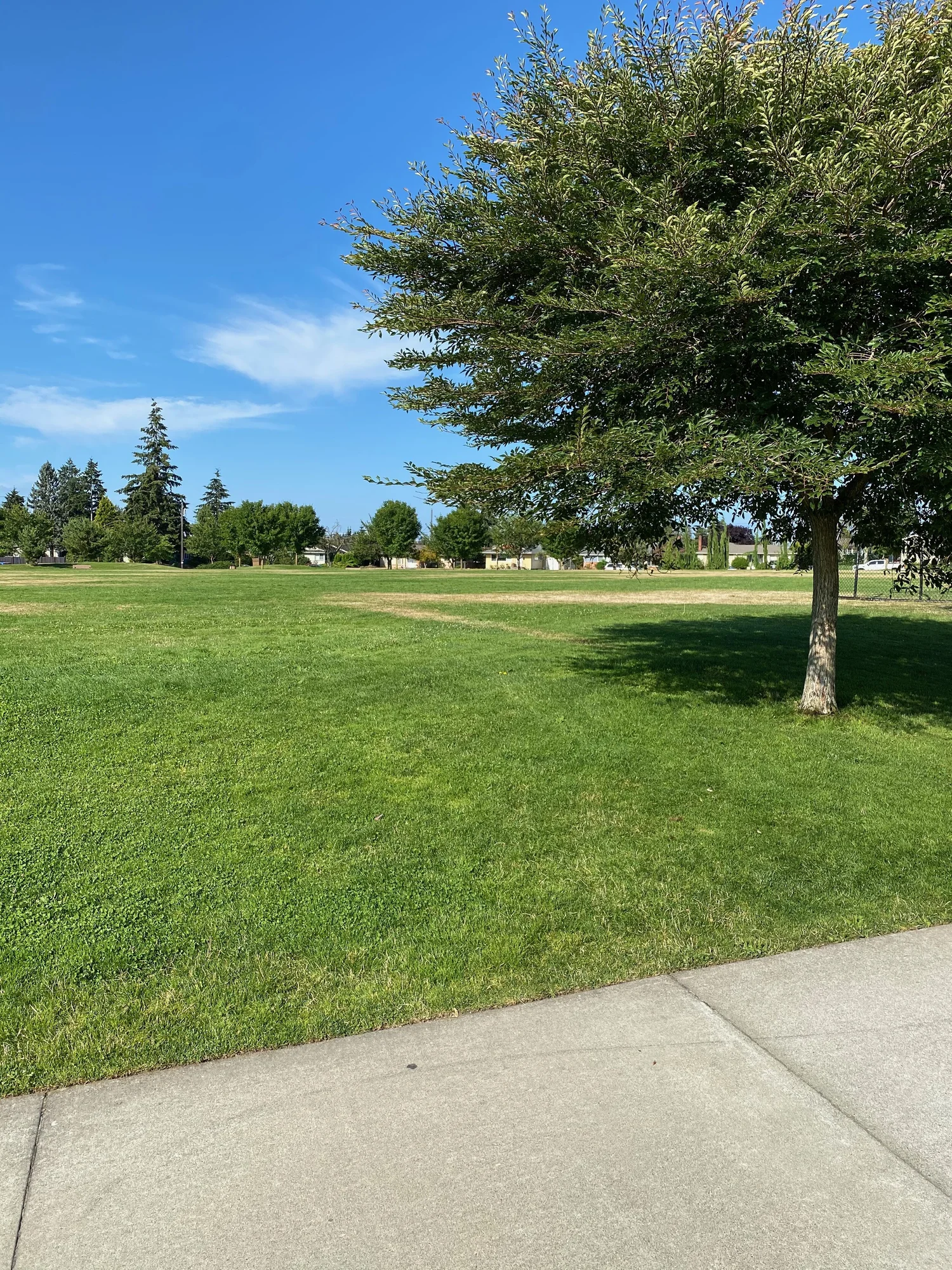 Park Love: Kandle Park — Raising Tacoma