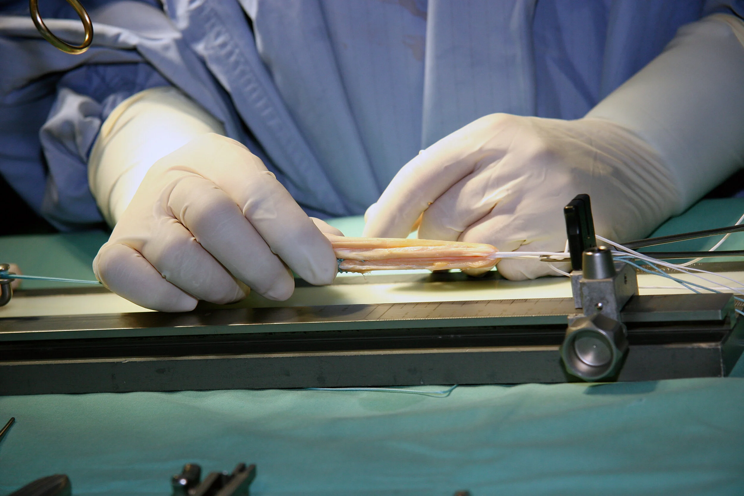 ACL Surgery NYC — Adam B. Cohen, MD