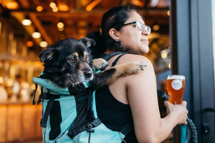Gallery — Benny Boy Brewing