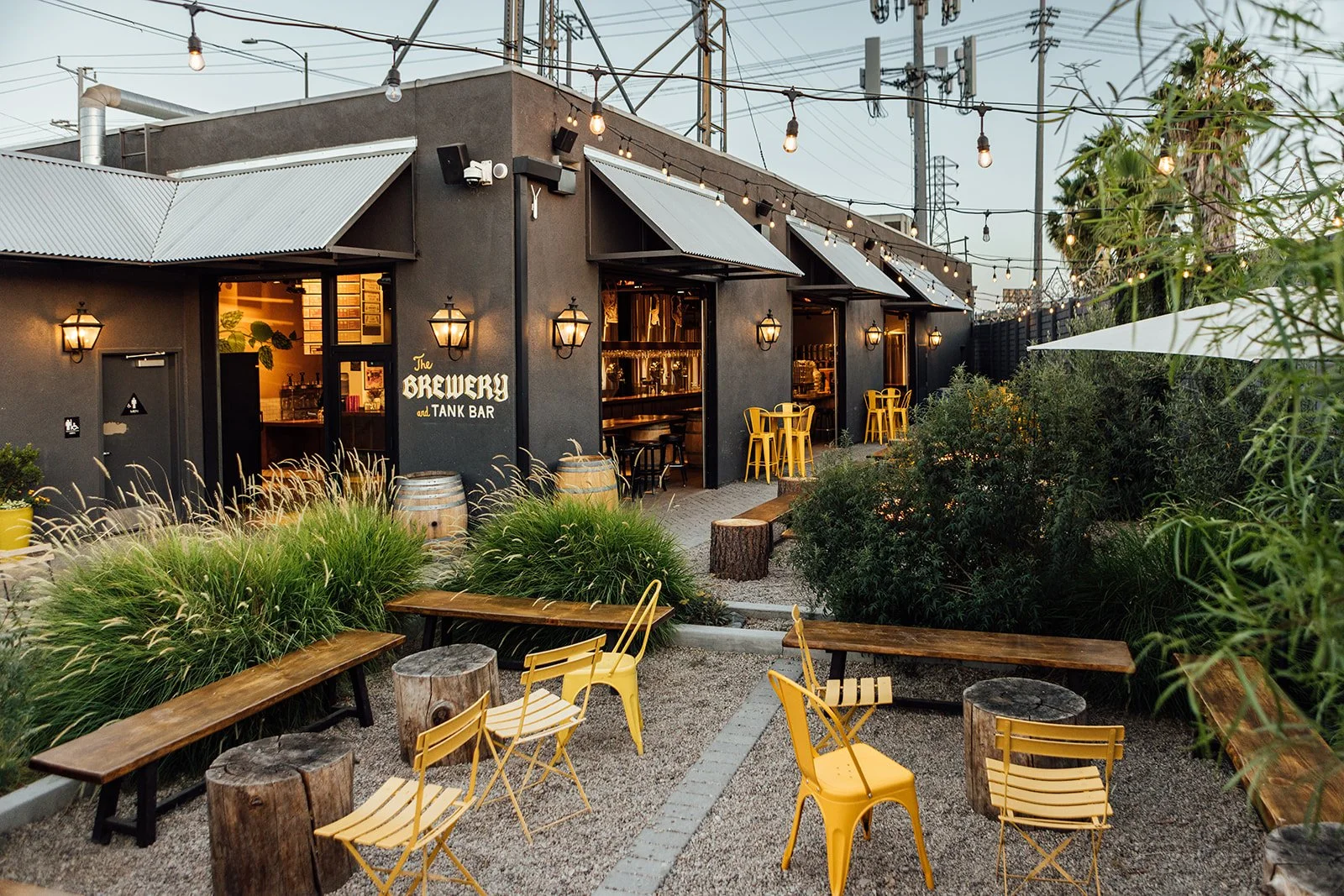 Party — Benny Boy Brewing