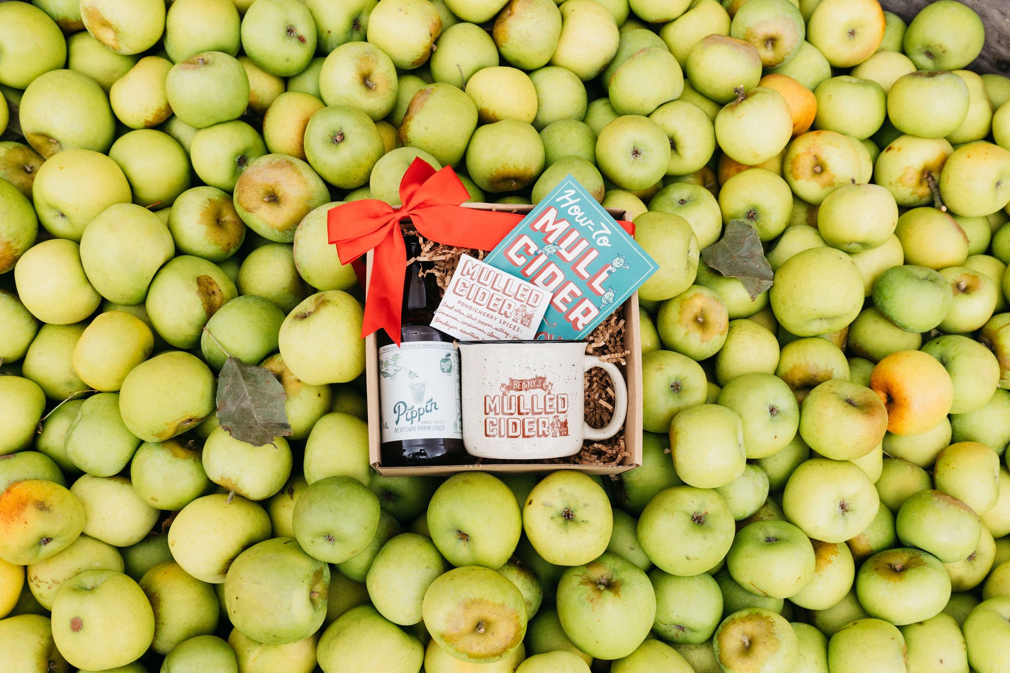 Bottle Shop — Benny Boy Brewing