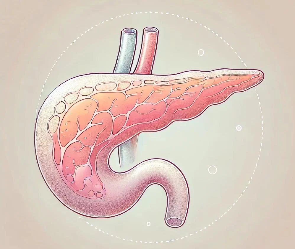 Welcome to the newly launched educational resources for type 3c ...