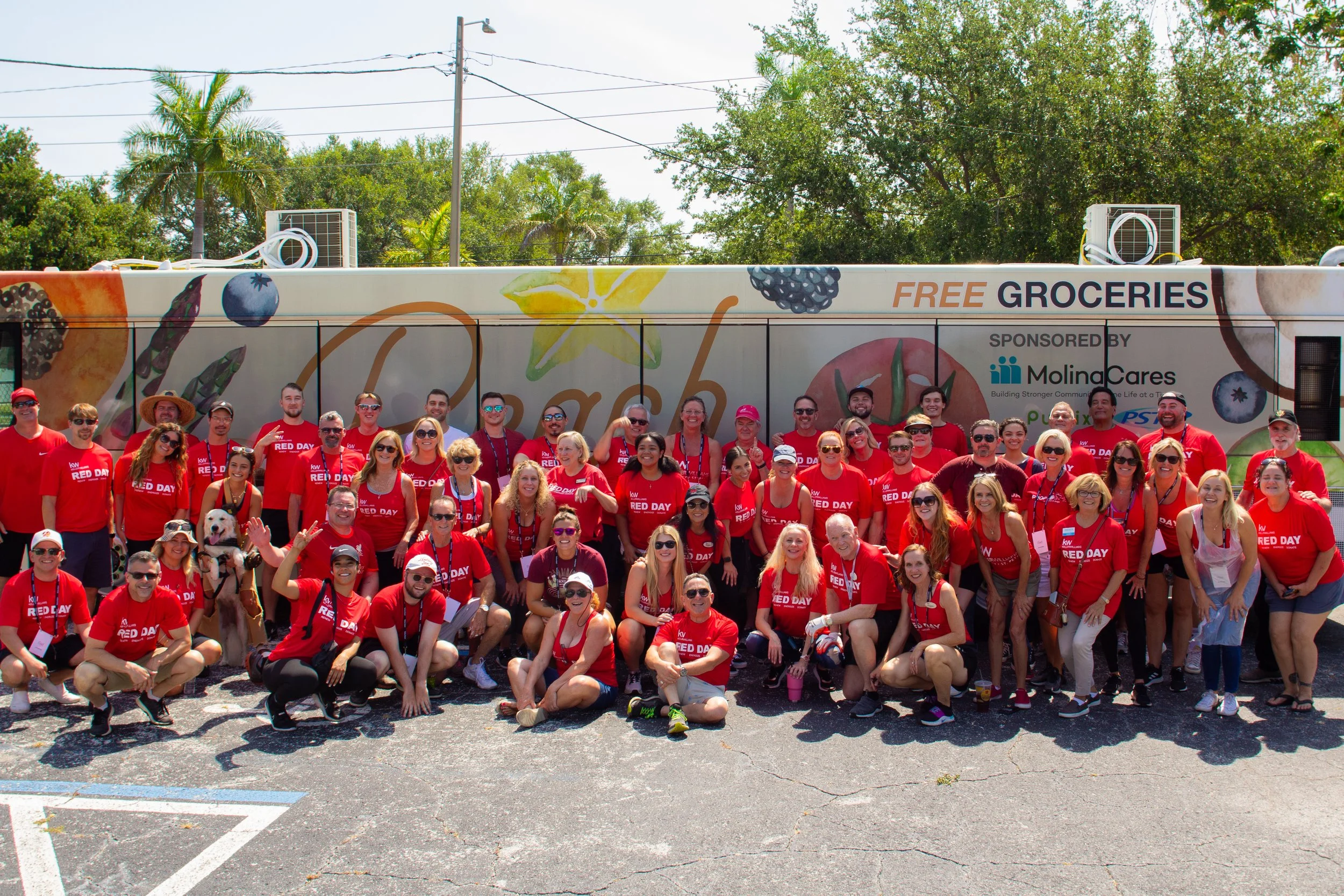 Volunteer — Reach St.Pete