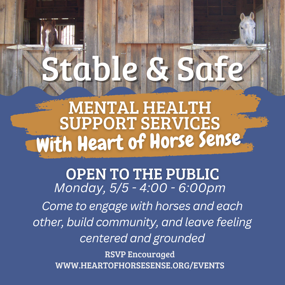 Stable & Safe — Heart of Horse Sense