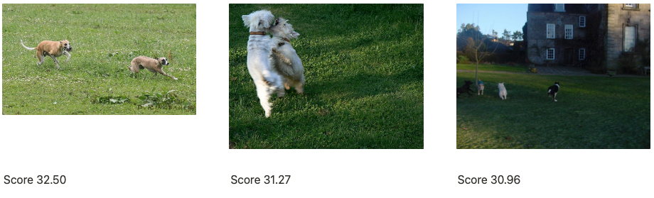 Fast and Simple Image Search with Foundation Models — Ivan Zhou