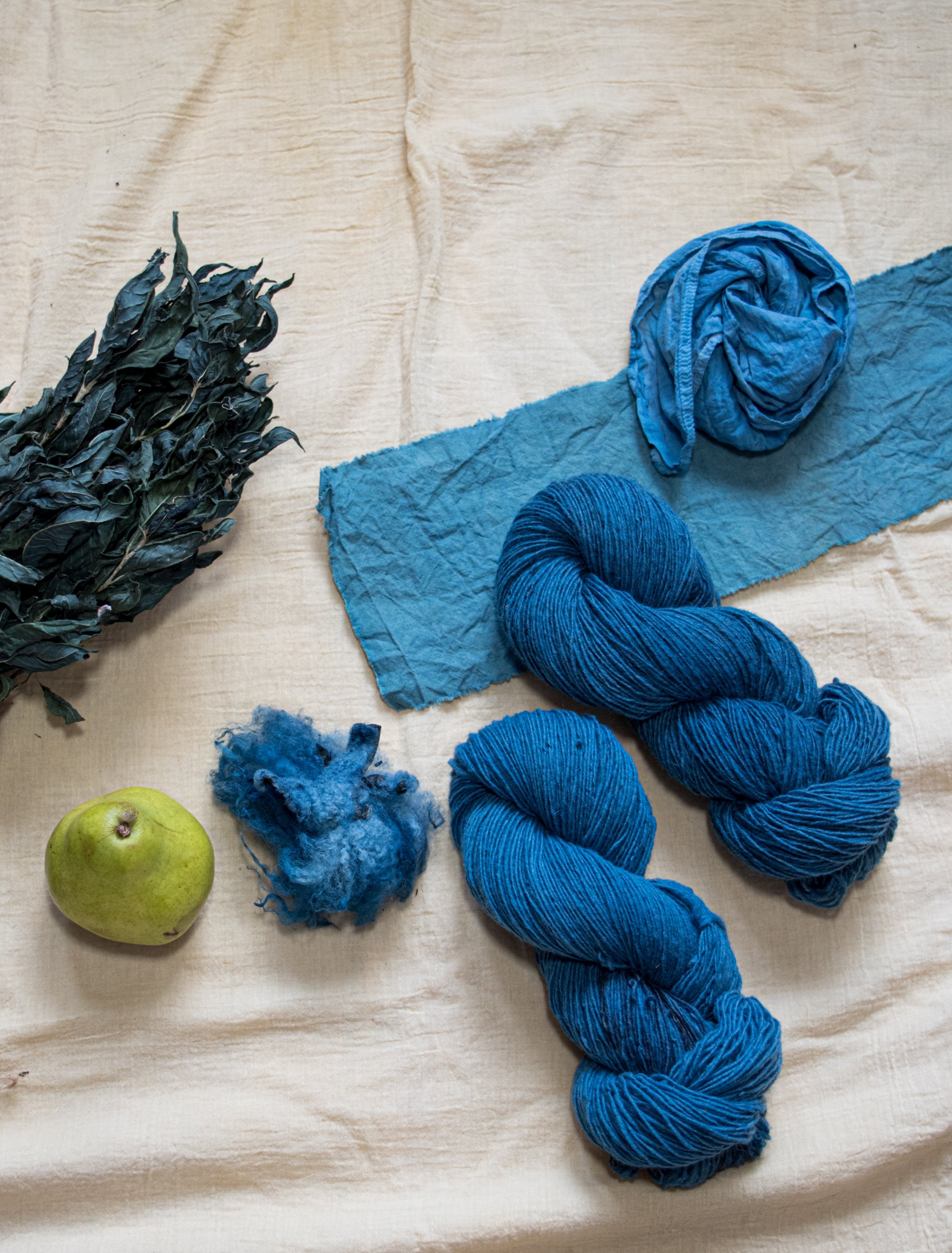 natural dyeing 101 — ash alberg