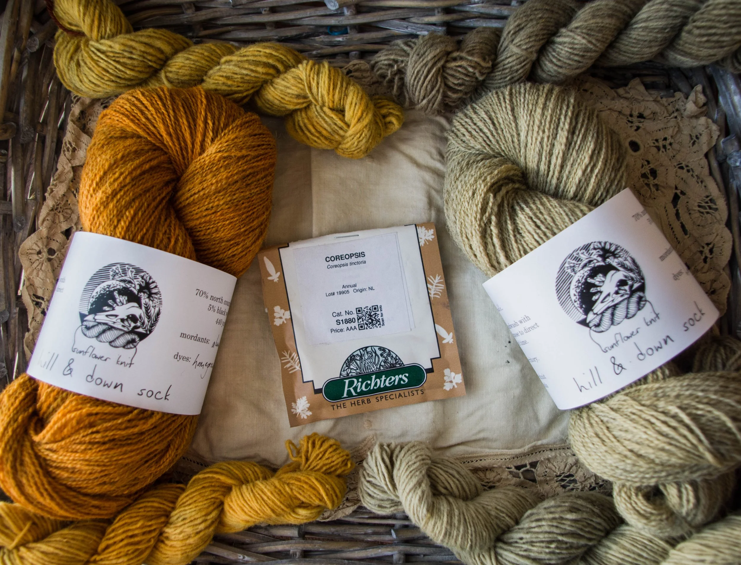 natural dyeing 101 — ash alberg