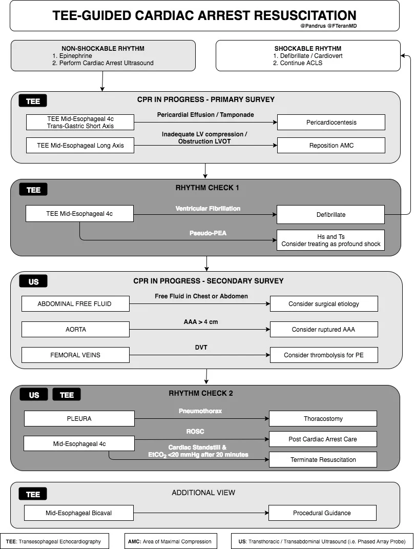 Protocols — RESUSCITATIVE TEE PROJECT