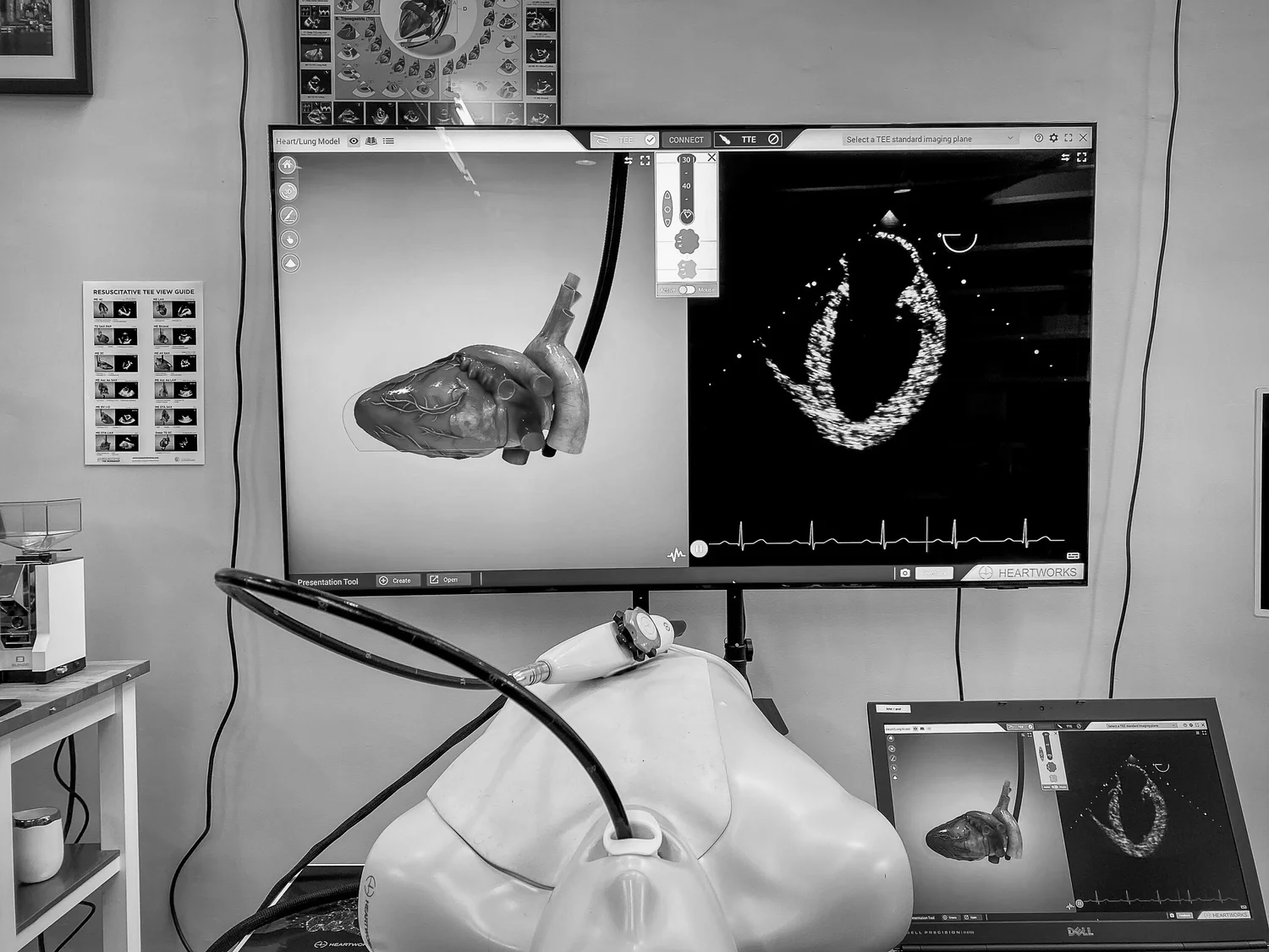 Resuscitative TEE Project's Learning Lab — RESUSCITATIVE TEE PROJECT