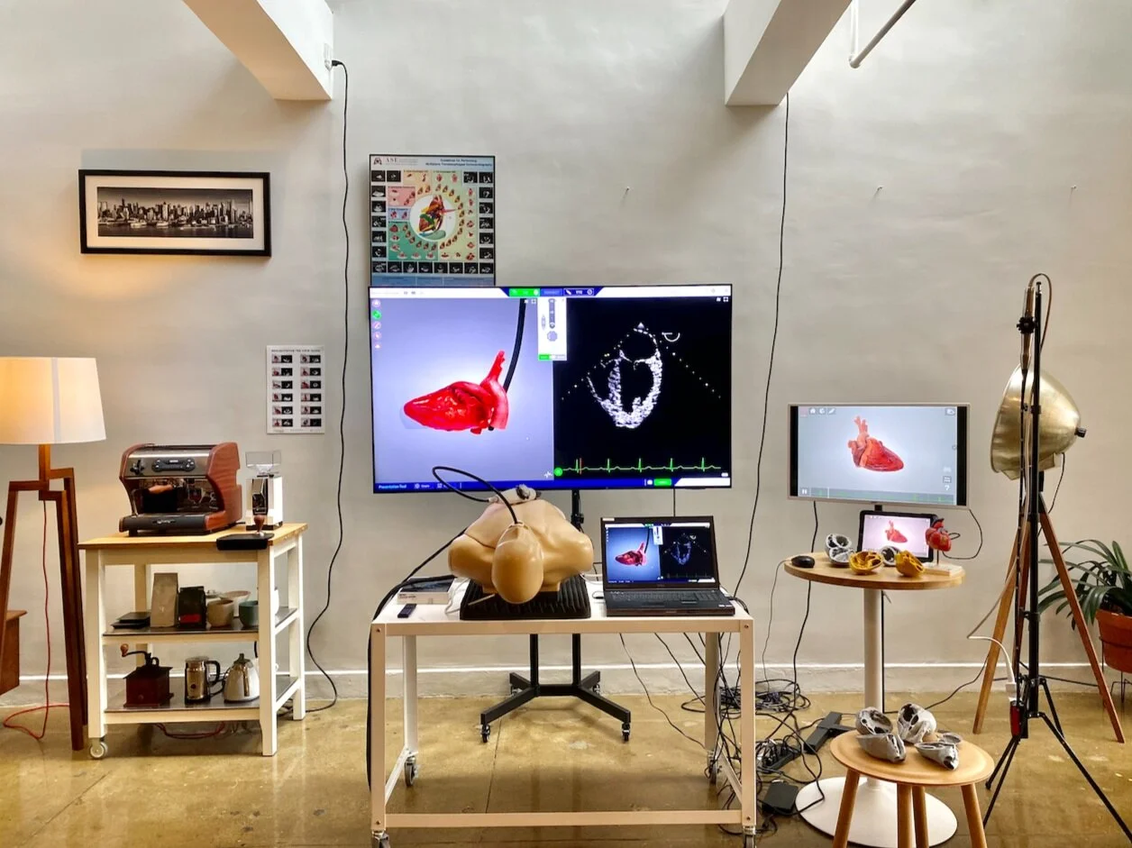 Resuscitative TEE Project's Learning Lab — RESUSCITATIVE TEE PROJECT