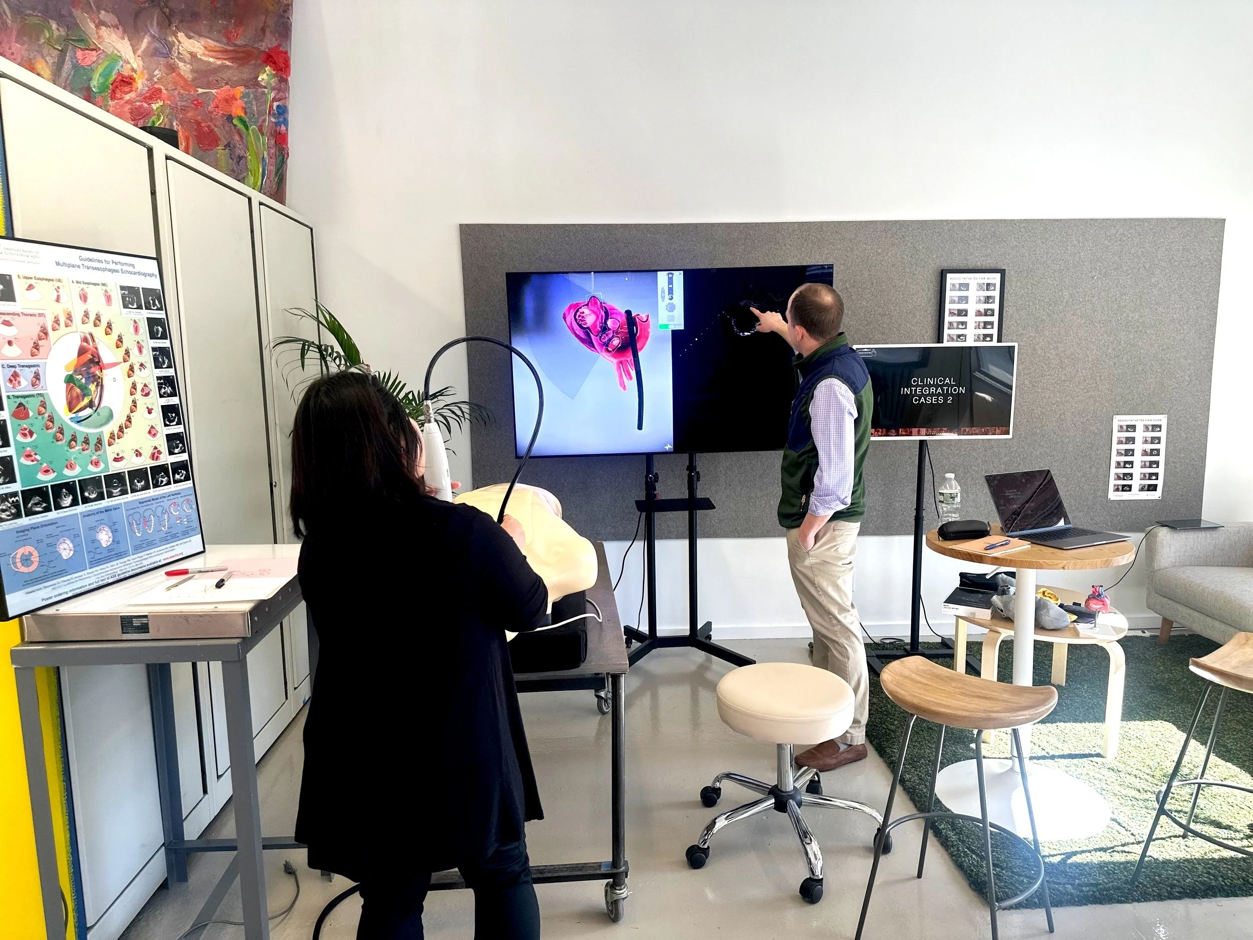 Resuscitative TEE Project's Learning Lab — RESUSCITATIVE TEE PROJECT