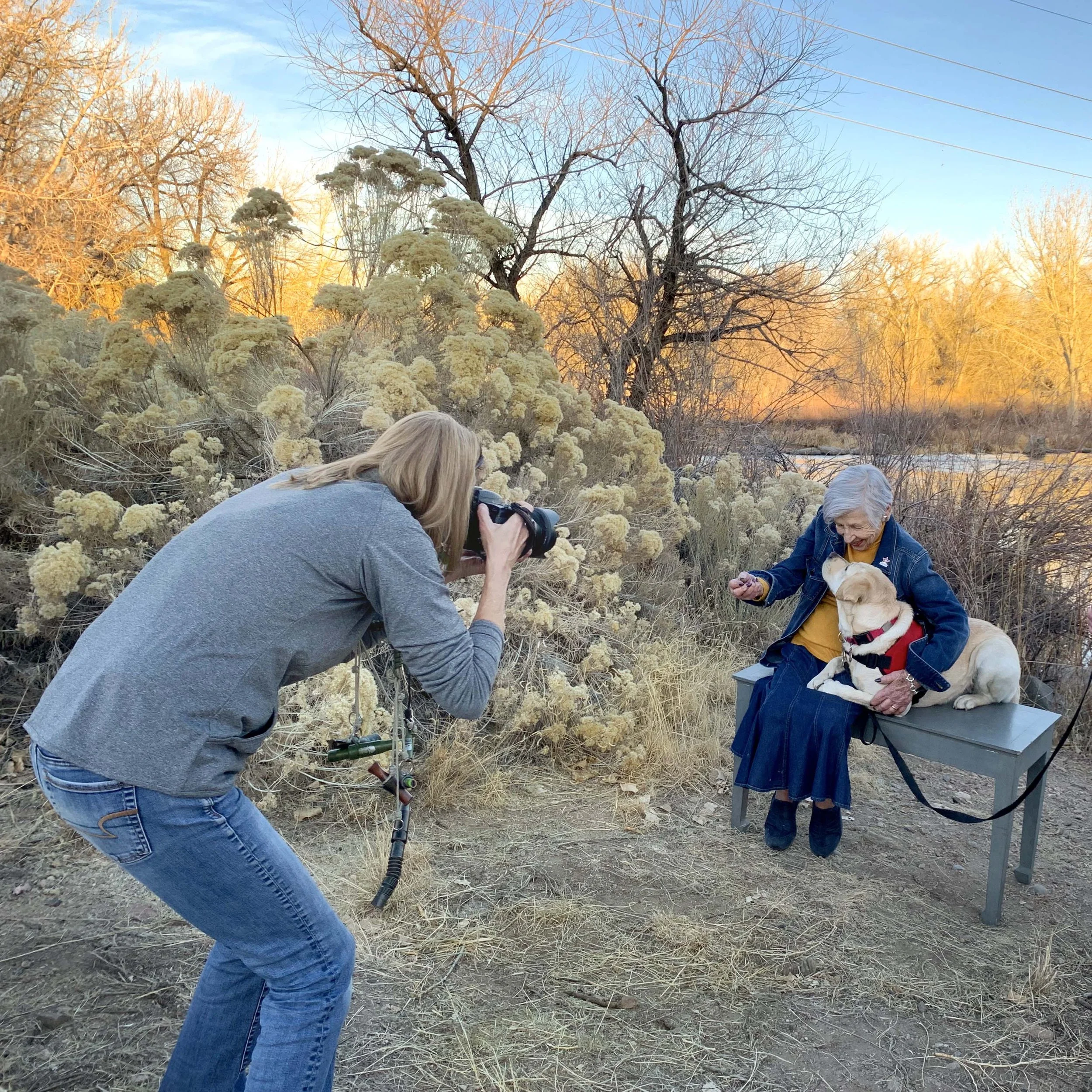 About Me — Amanda Engel Photography - Denver Dog Photographer