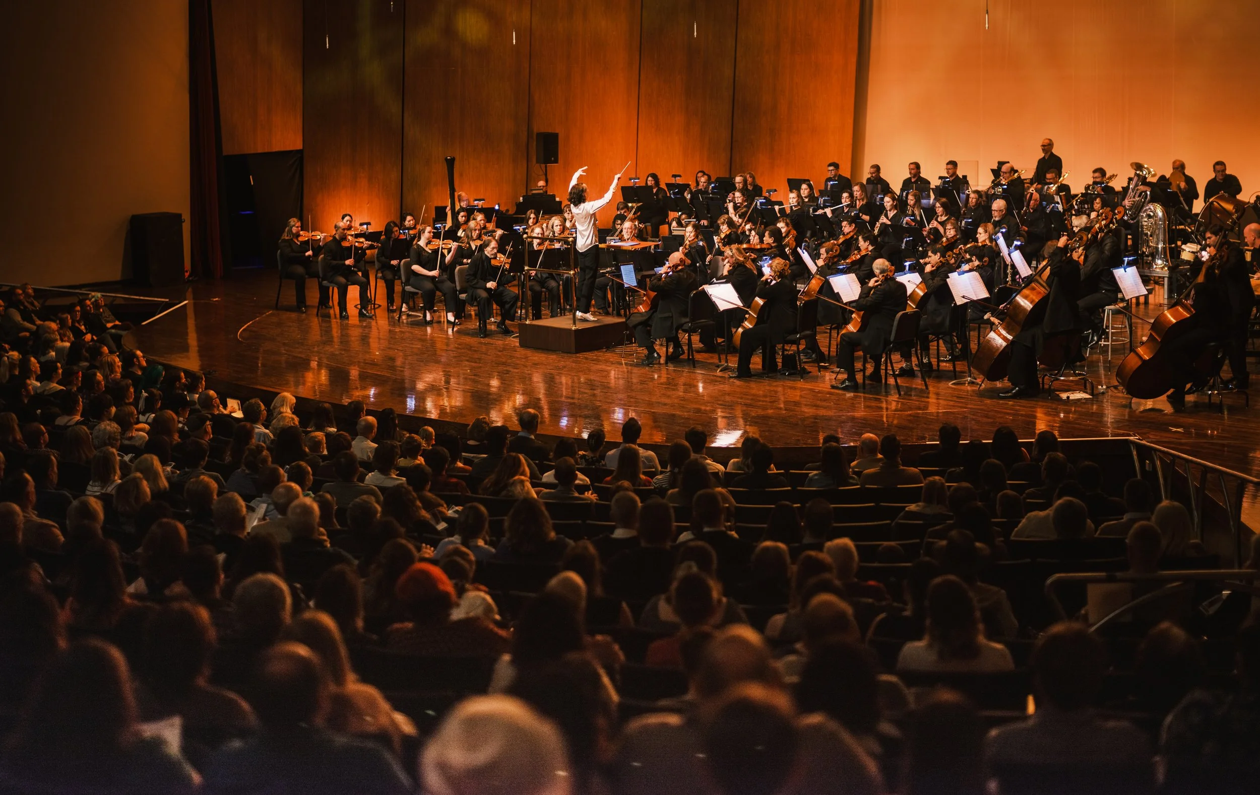 The Lexington Philharmonic